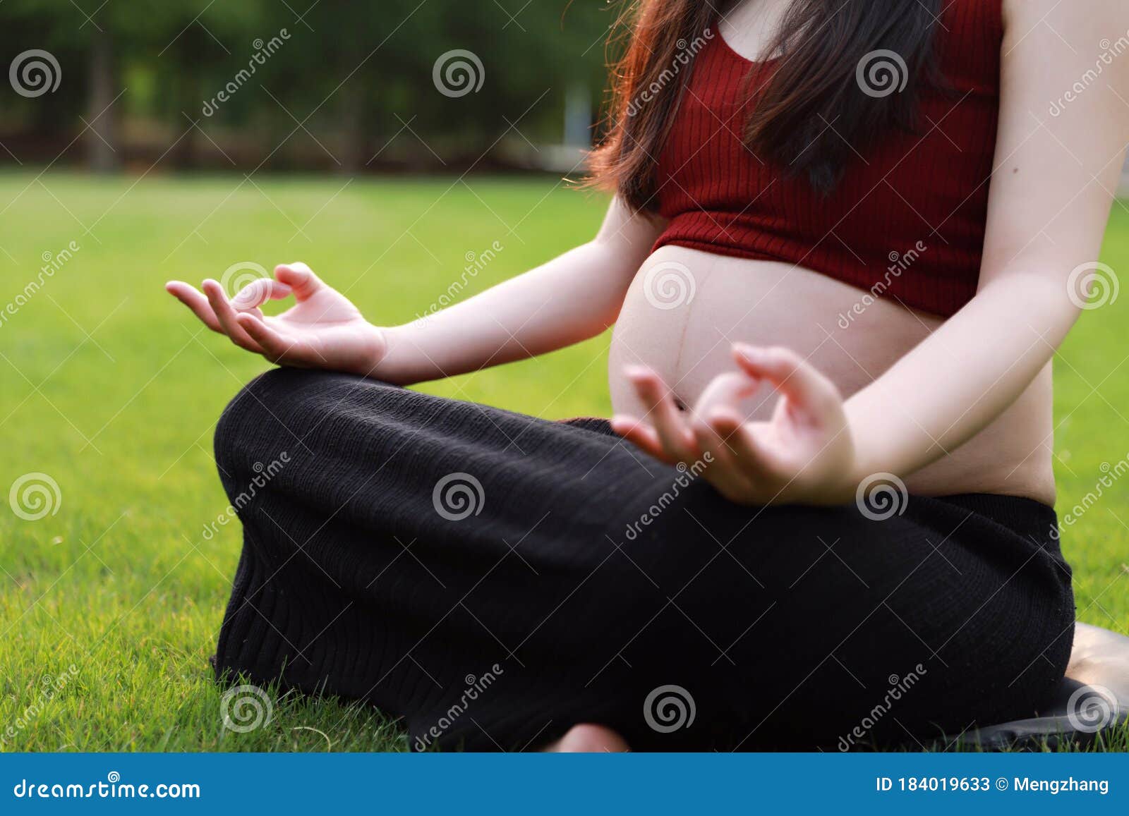 Asian Pregnant Woman In Garden Forest Lawn Outdoor Nature Free Relax