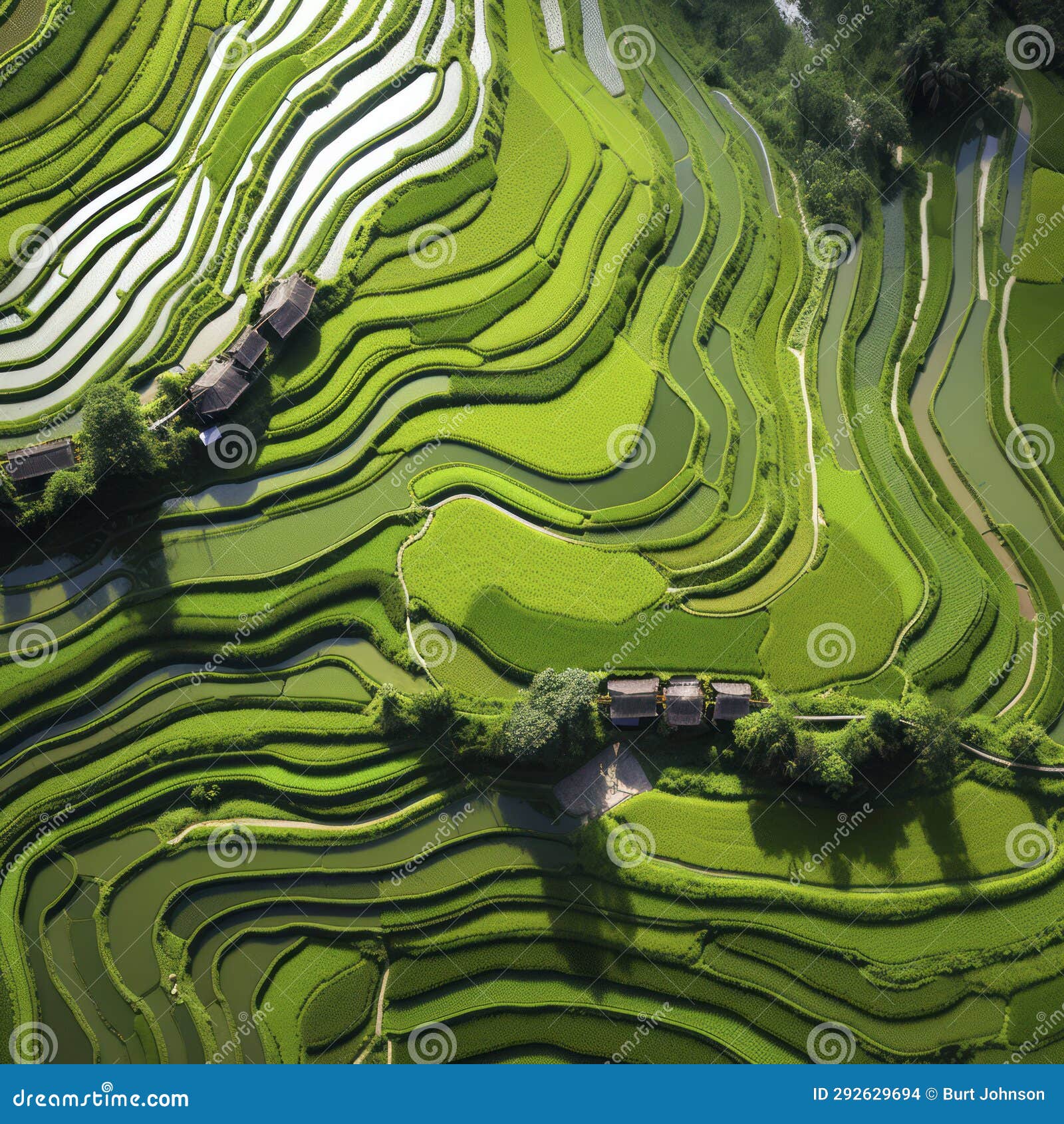 Asian Rice Terrace As Seen from Above Stock Illustration - Illustration ...