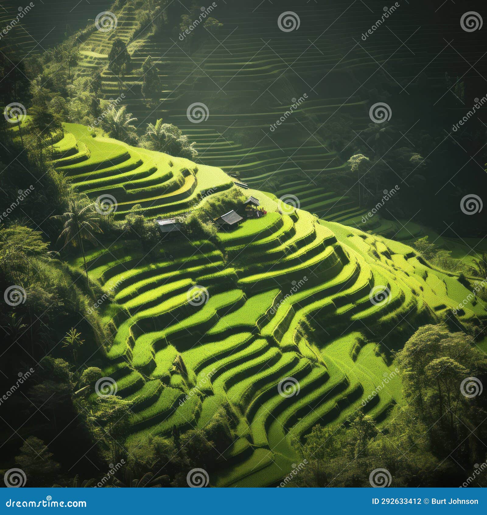 Asian Rice Terrace As Seen from Above Stock Photo - Image of asia ...