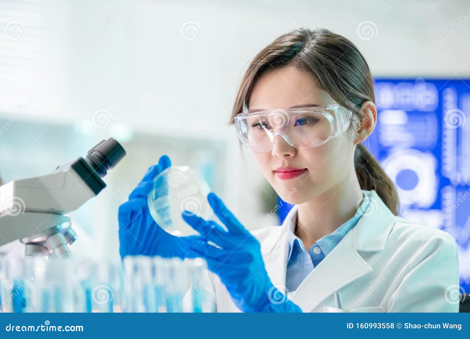 Asian Scientist Take Petri Dish Stock Photo - Image of analysis, asian ... Asian Scientist Take Petri Dish Stock Photo - Image of analysis, asian ...