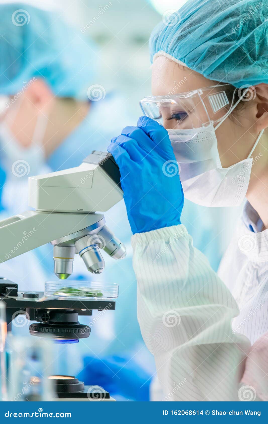 Asian Scientist Use Microscope Stock Photo - Image of korean, asia ...
