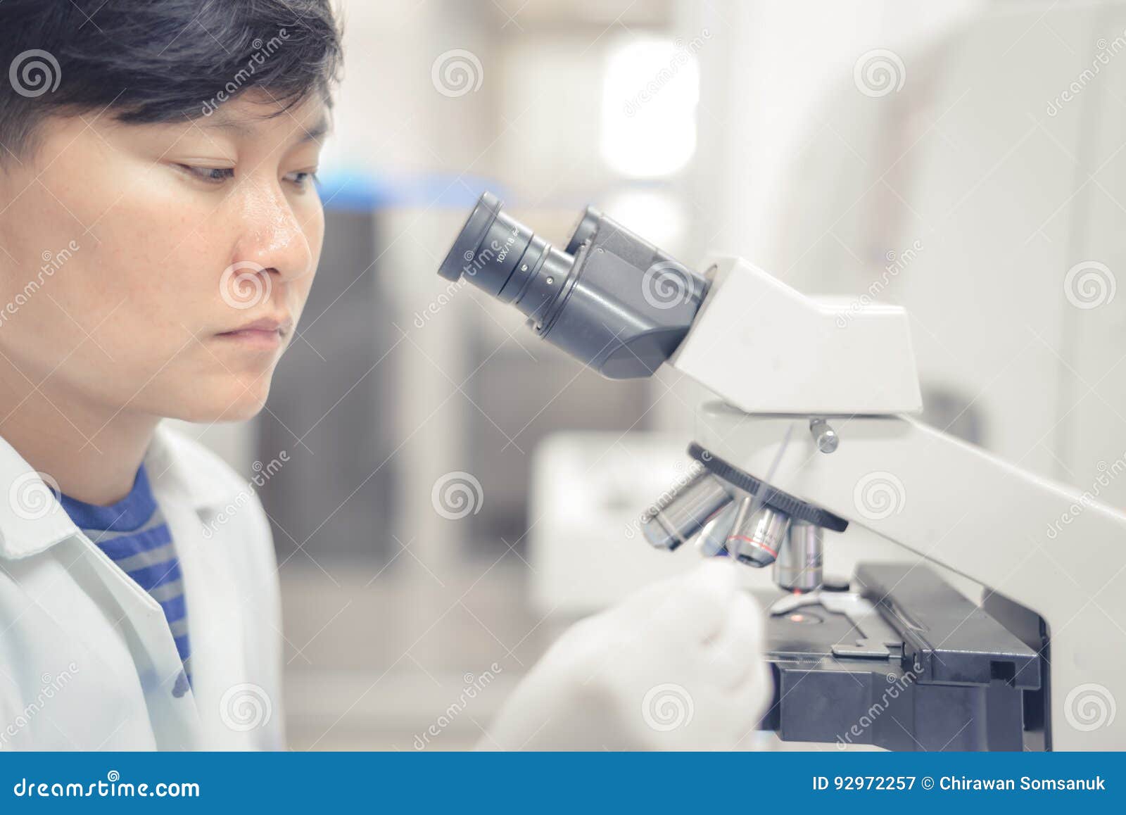 Asian Scientist Working in Laboratory. Stock Image - Image of science ...