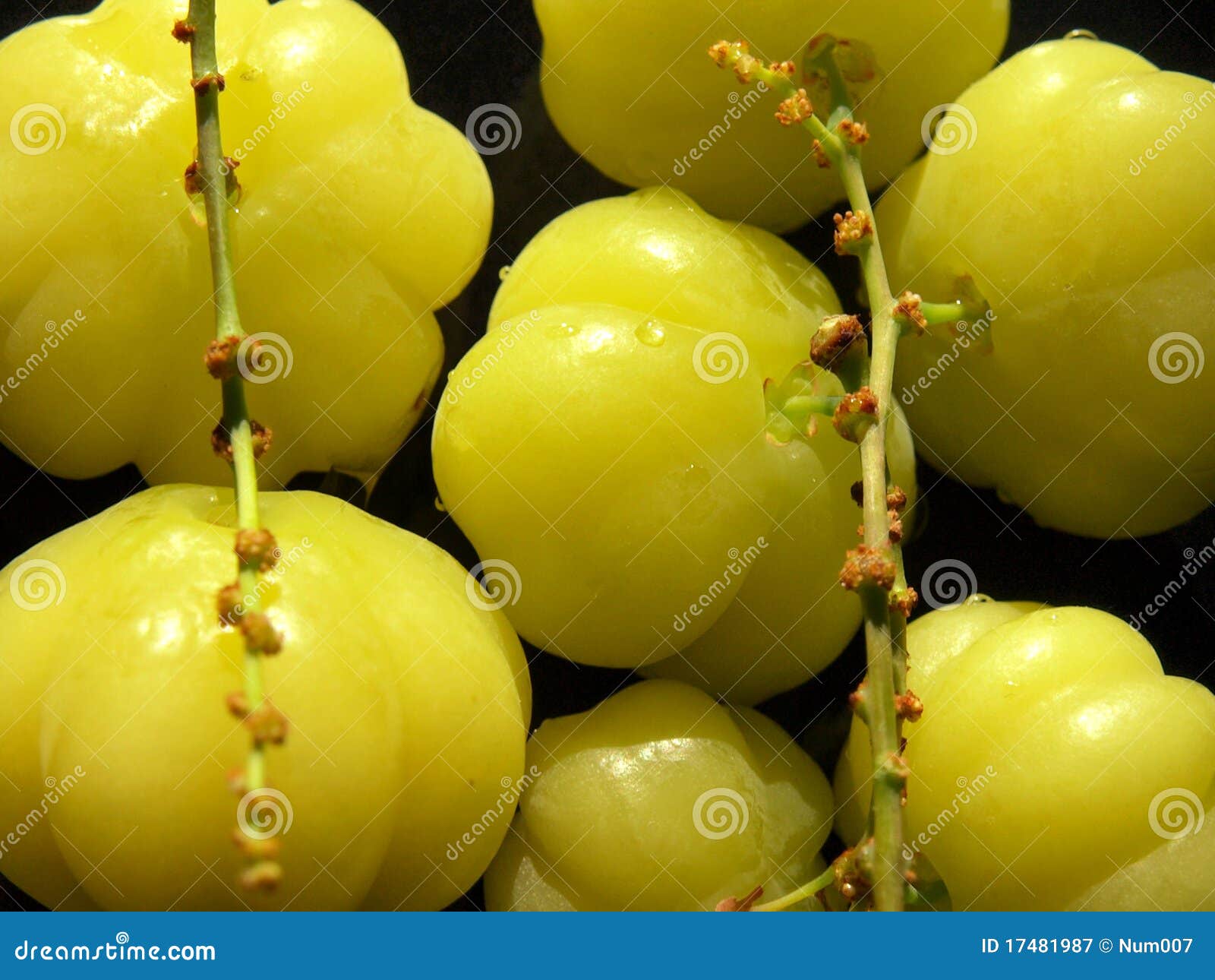 Asian Star gooseberry stock image. Image of organic, sweet - 17481987