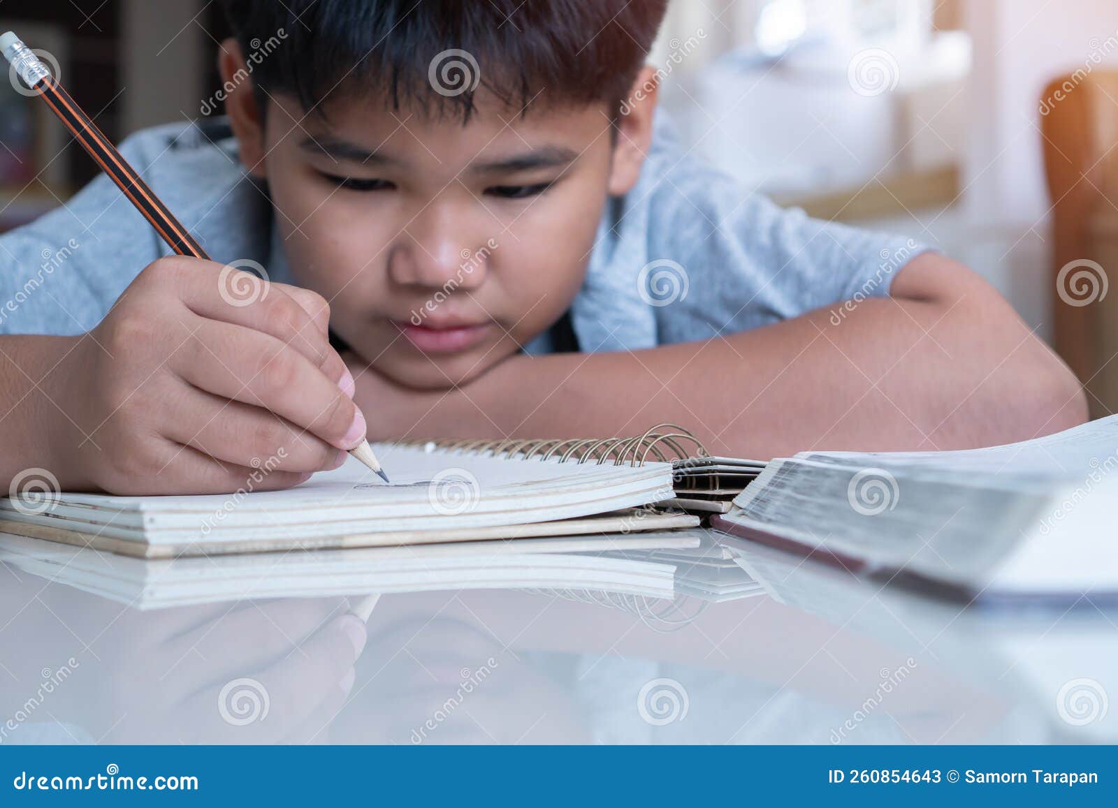 Asian Student Boy Elementary Lay Doing His Homework on Notebook while ...
