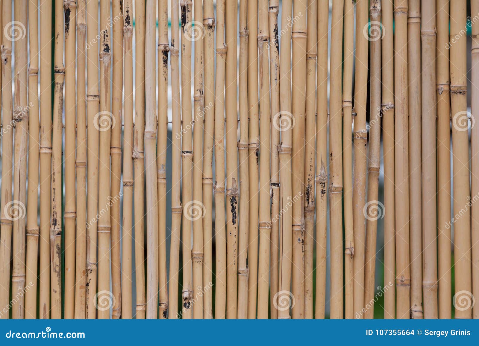 Bamboo fence background stock photo. Image of chinese - 107355664