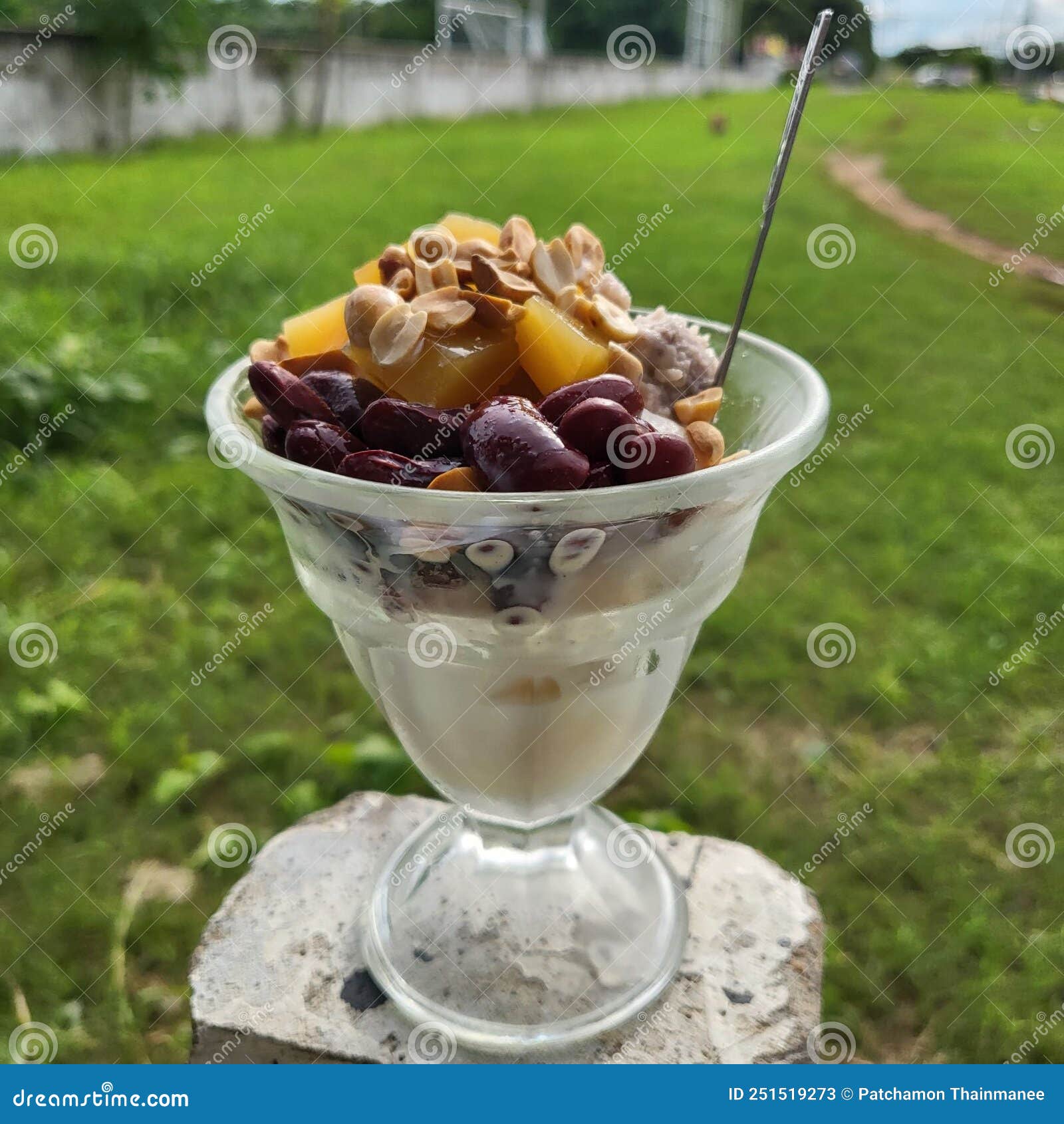 Asian Style Ice Cream with Various Fruit Toppings. Stock Image - Image ...
