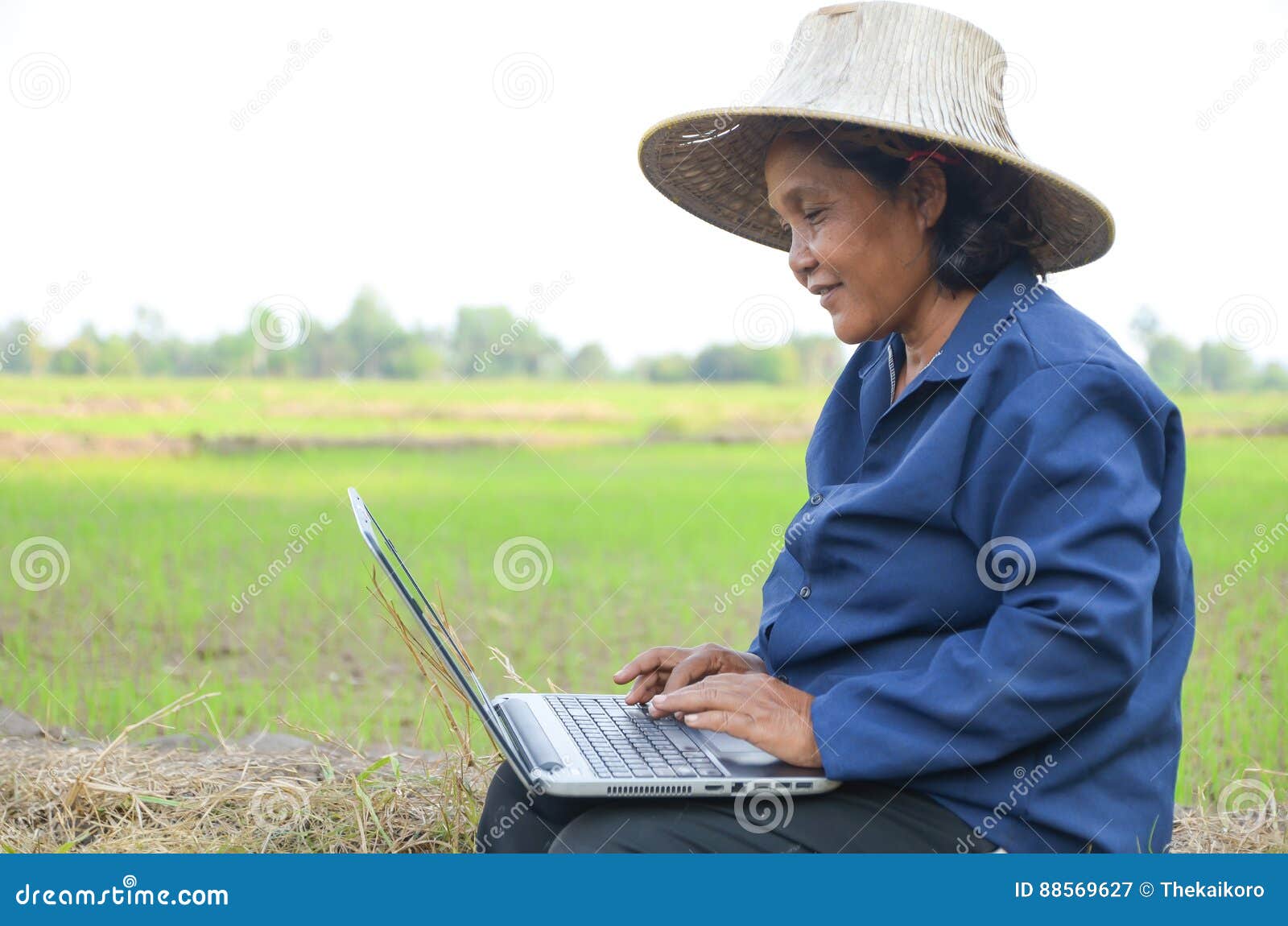 Asian Thai Farmer Using Laptop Computer in the Rice Field Stock Image ...