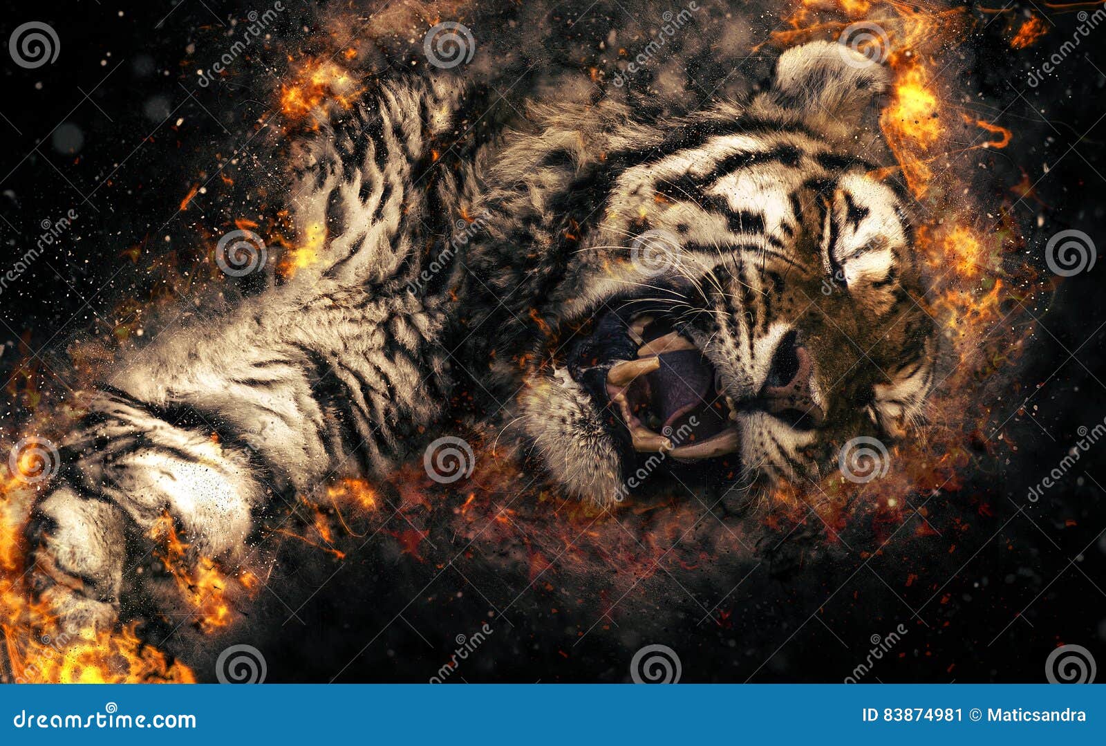 Asian Tiger, Fire Illustration. Stock Illustration - Illustration of ...