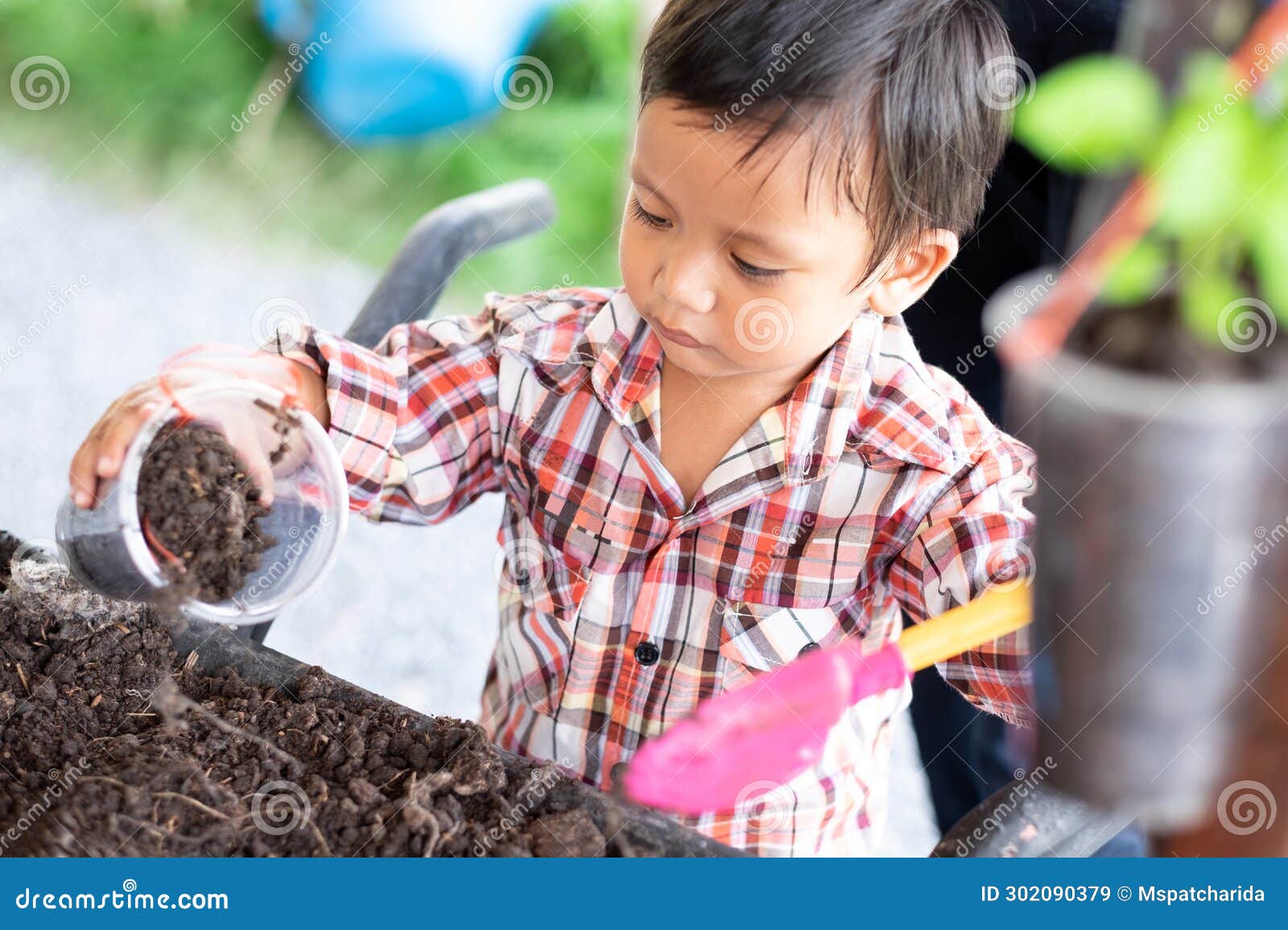 An Asian Toddler Boy Digging Soil for Planting Stock Image - Image of ...