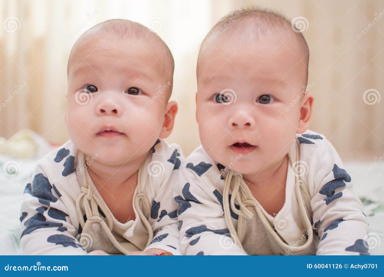 Asian twin boys stock photo. Image of friend, childhood - 60041126