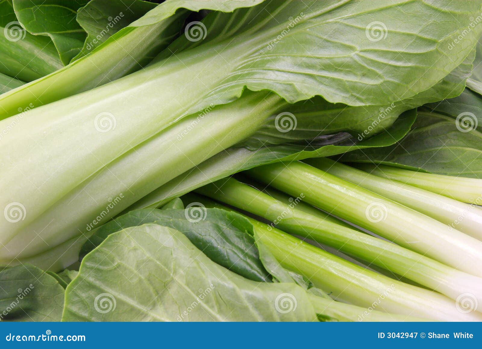 Asian vegetables stock image. Image of food, onions, leafy - 3042947