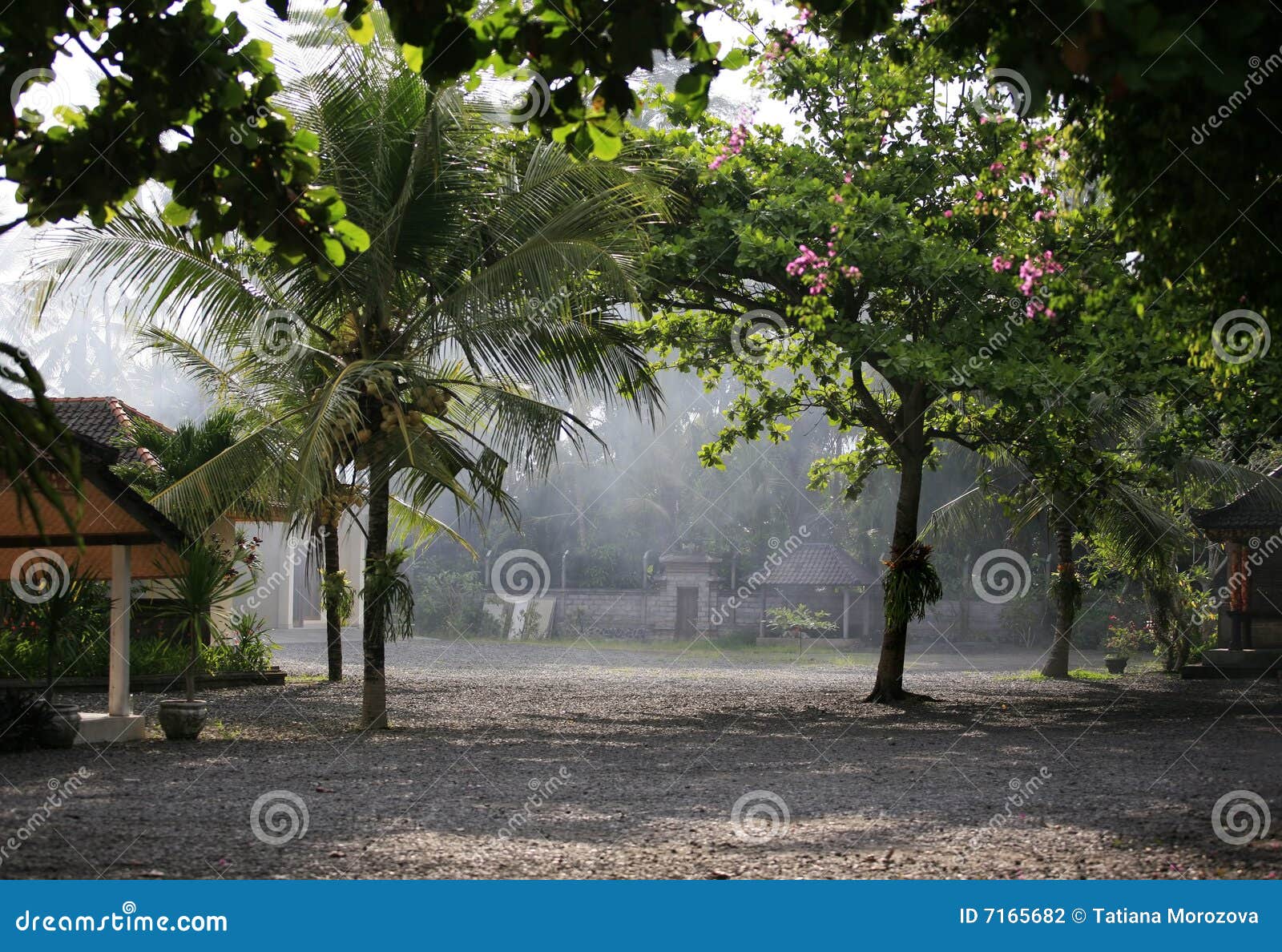 Asian Village Landscape In A Rural Area With Paddy Field Royalty-Free ...
