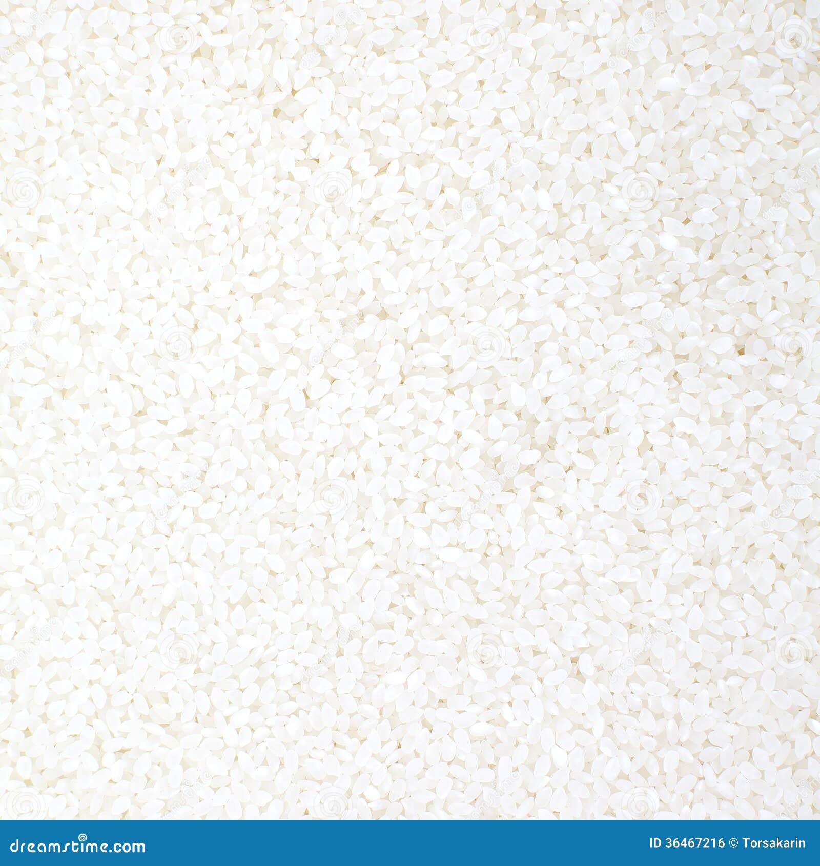 Asian White Rice or Uncooked White Rice Stock Photo - Image of meal ...