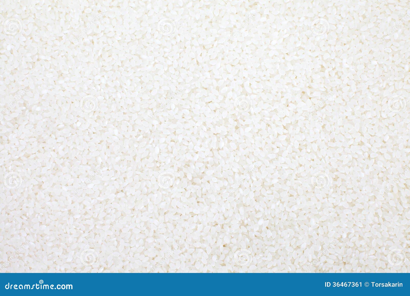 Asian White Rice or Uncooked White Rice Stock Image - Image of asian ...