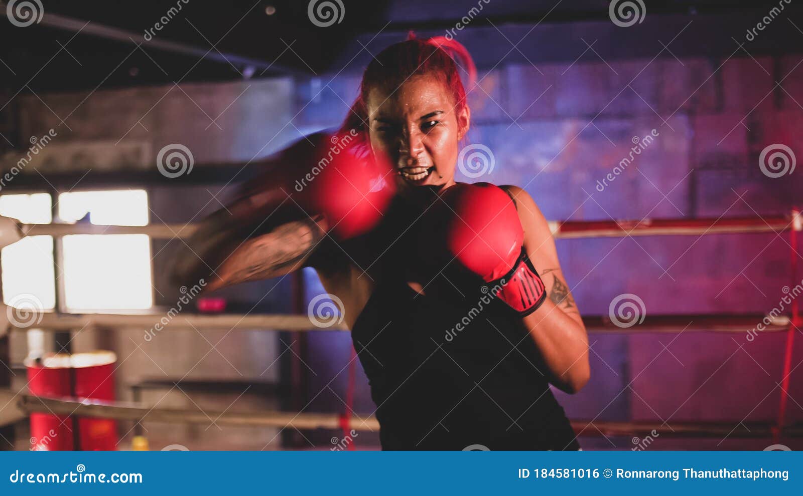 Asian Woman Boxing in the Gym Stock Photo - Image of professional ...