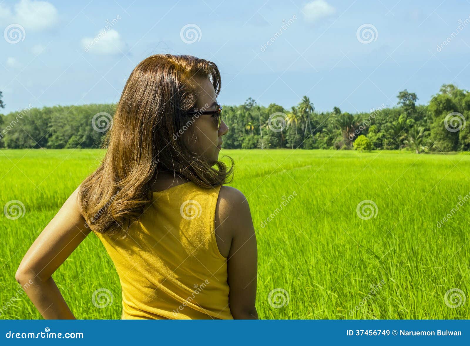 Asian woman on rice field stock image. Image of summer - 37456749