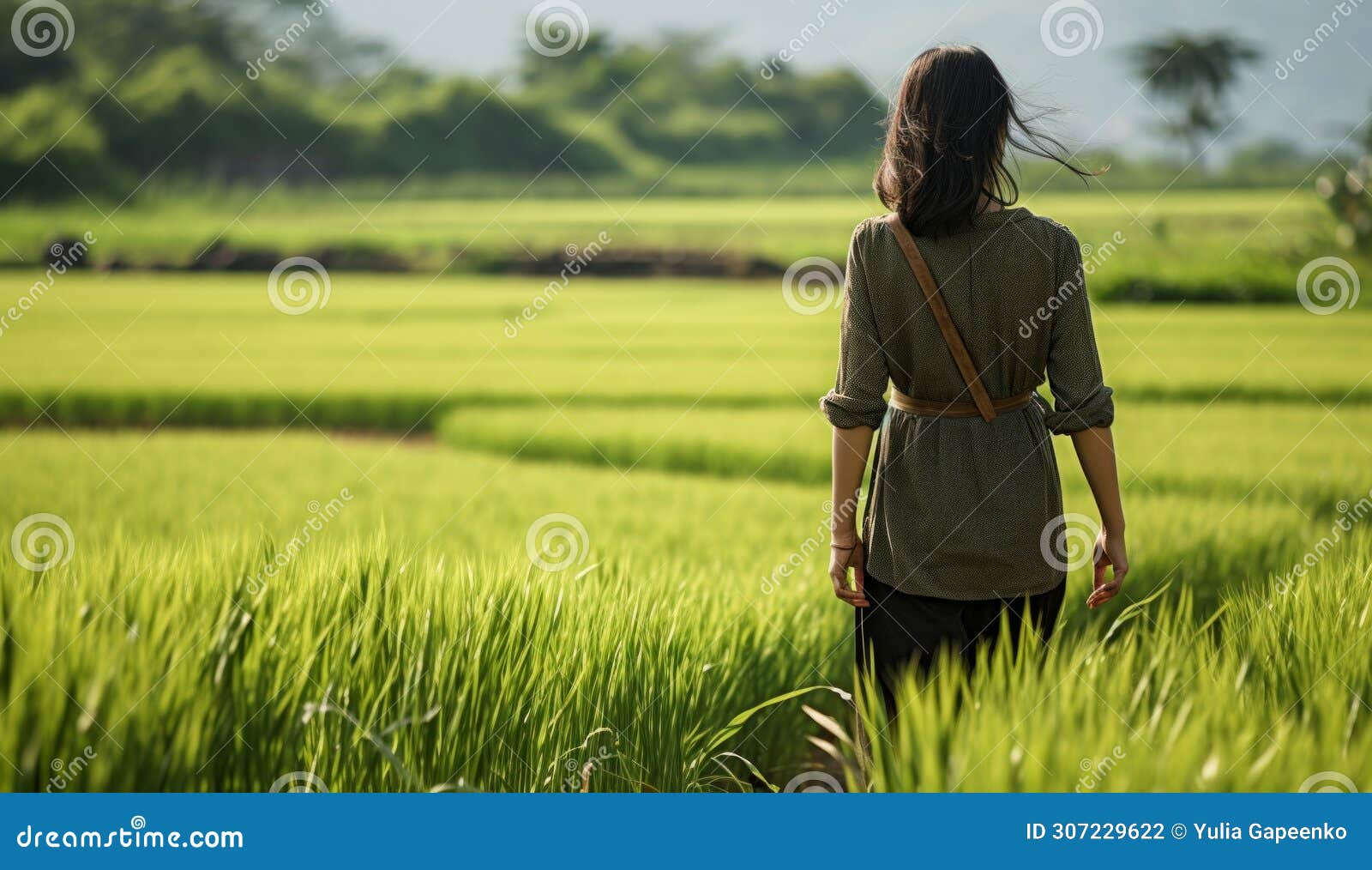 An Asian Woman is Standing by a Rice Paddy Stock Photo - Image of ...