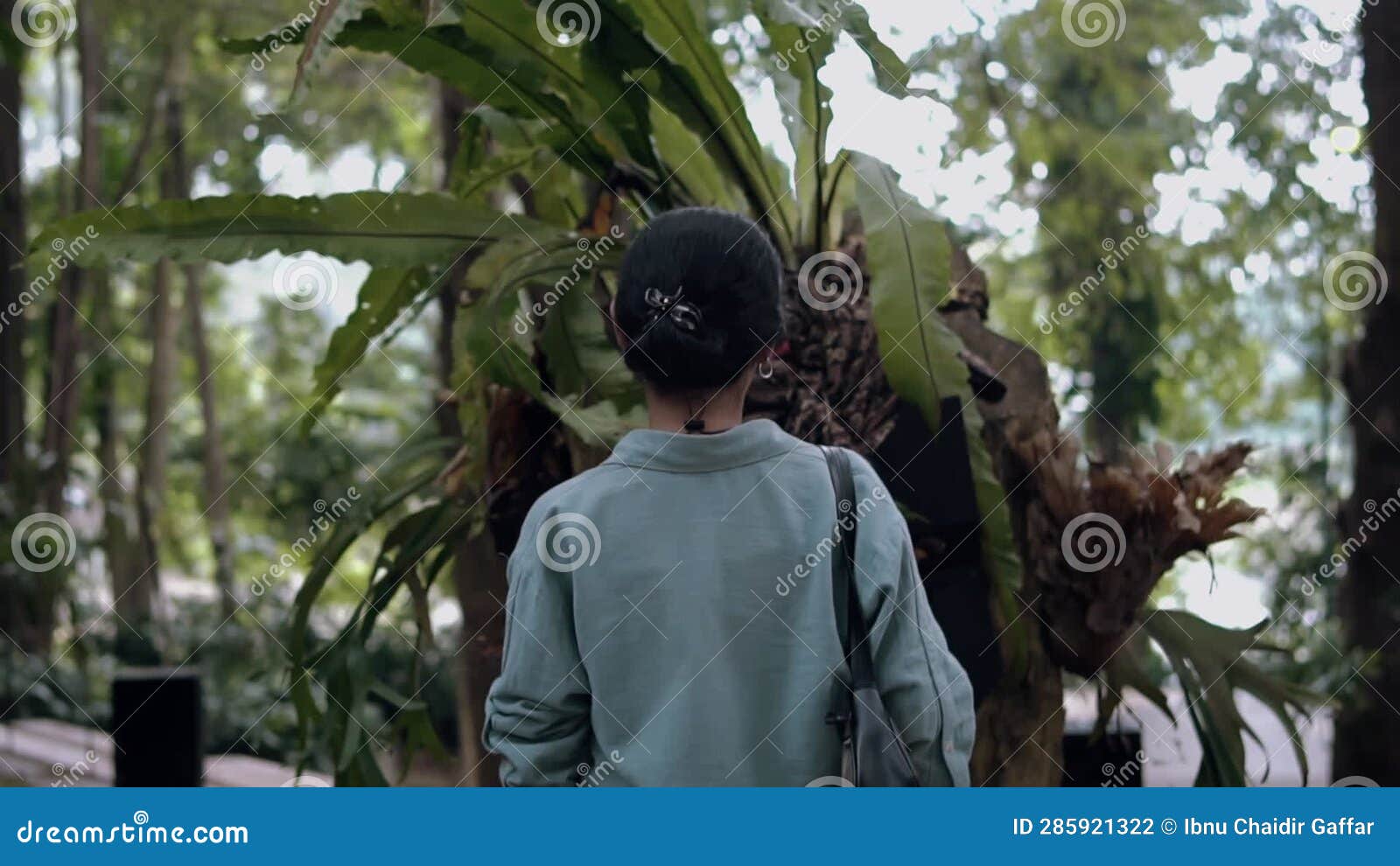 An Asian Woman Walked Towards a Tree Curiously while Stock Footage ...