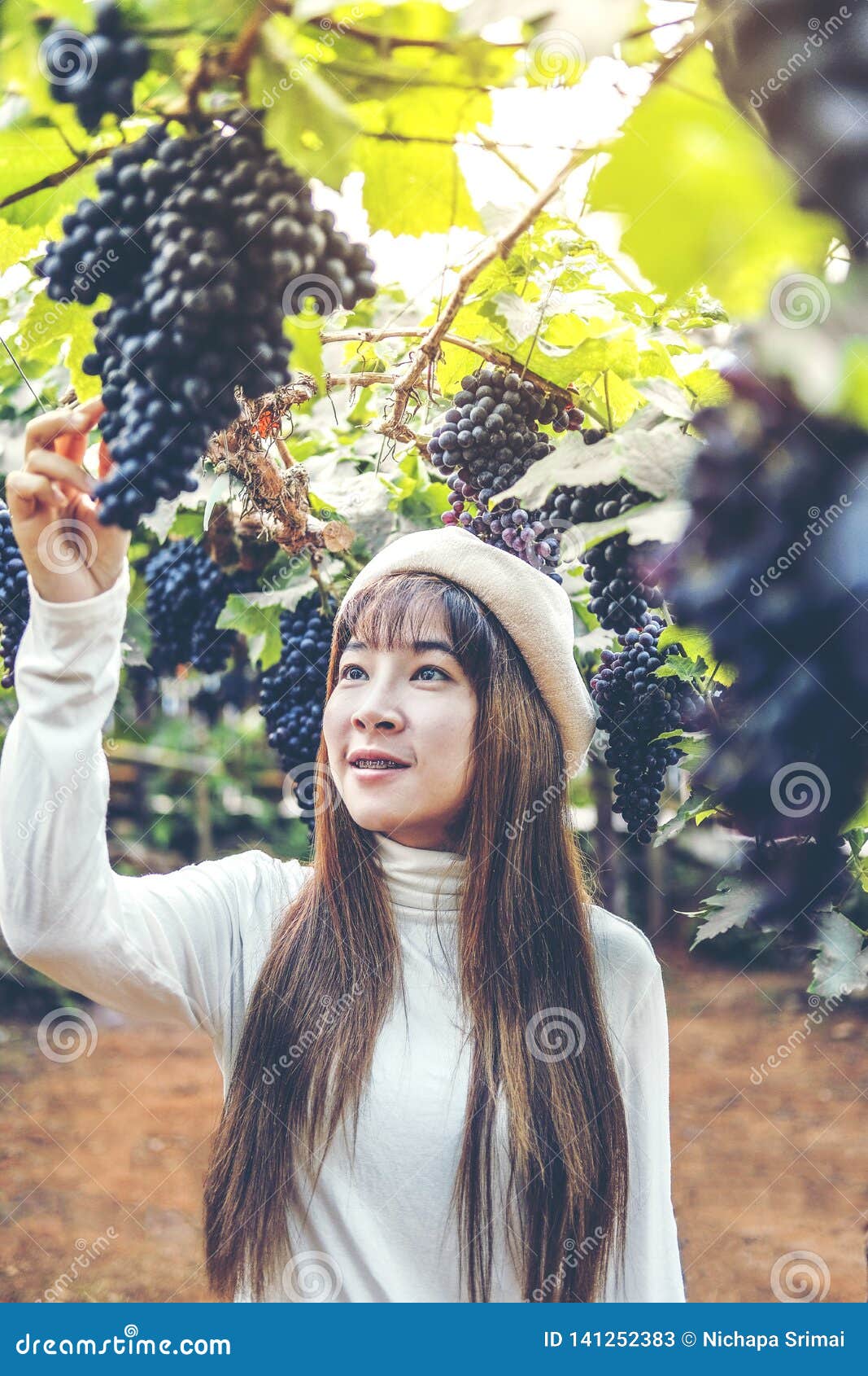Asian Woman Winemaker Checking Grapes in Vineyard Stock Image - Image ... Asian Woman Winemaker Checking Grapes in Vineyard Stock Image - Image ...