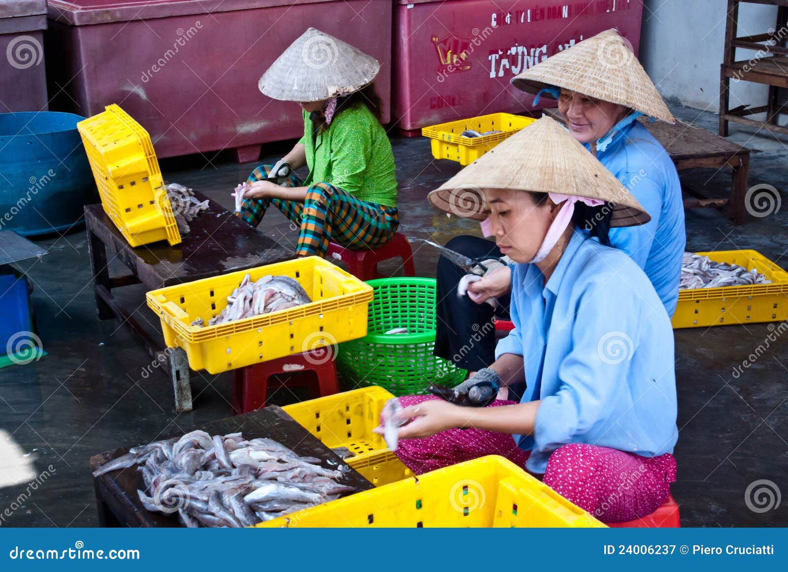 Asian Women Working in a Fishery Editorial Photography - Image of ...