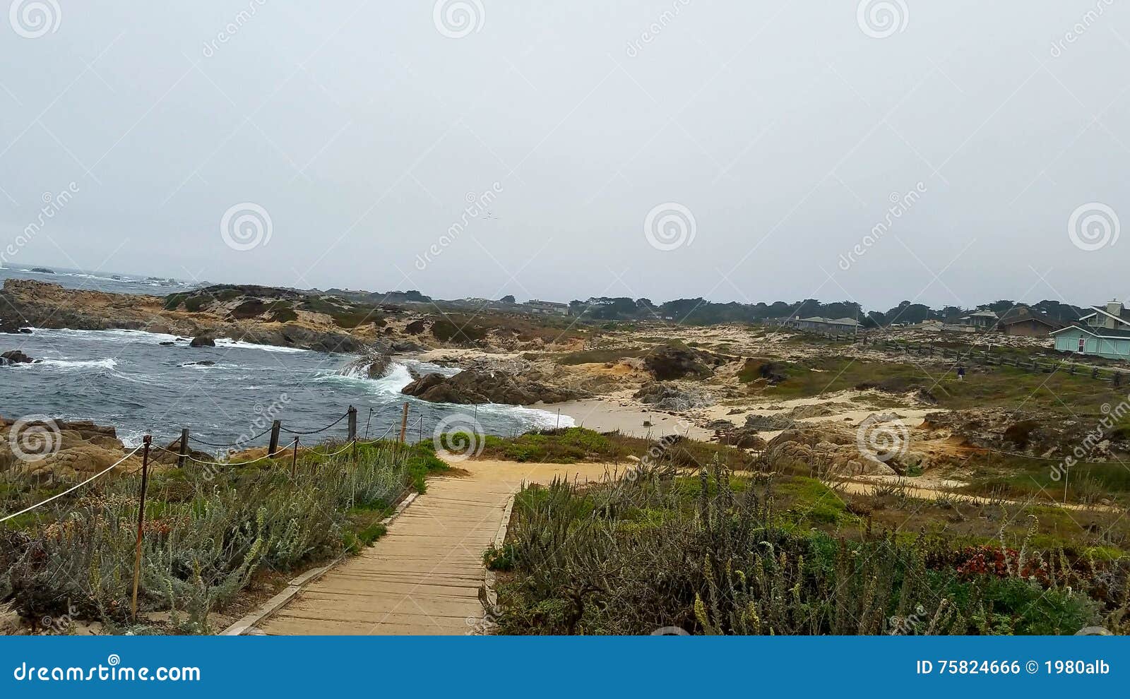 Asilomar stock photo. Image of ocean, walking, view, trails - 75824666