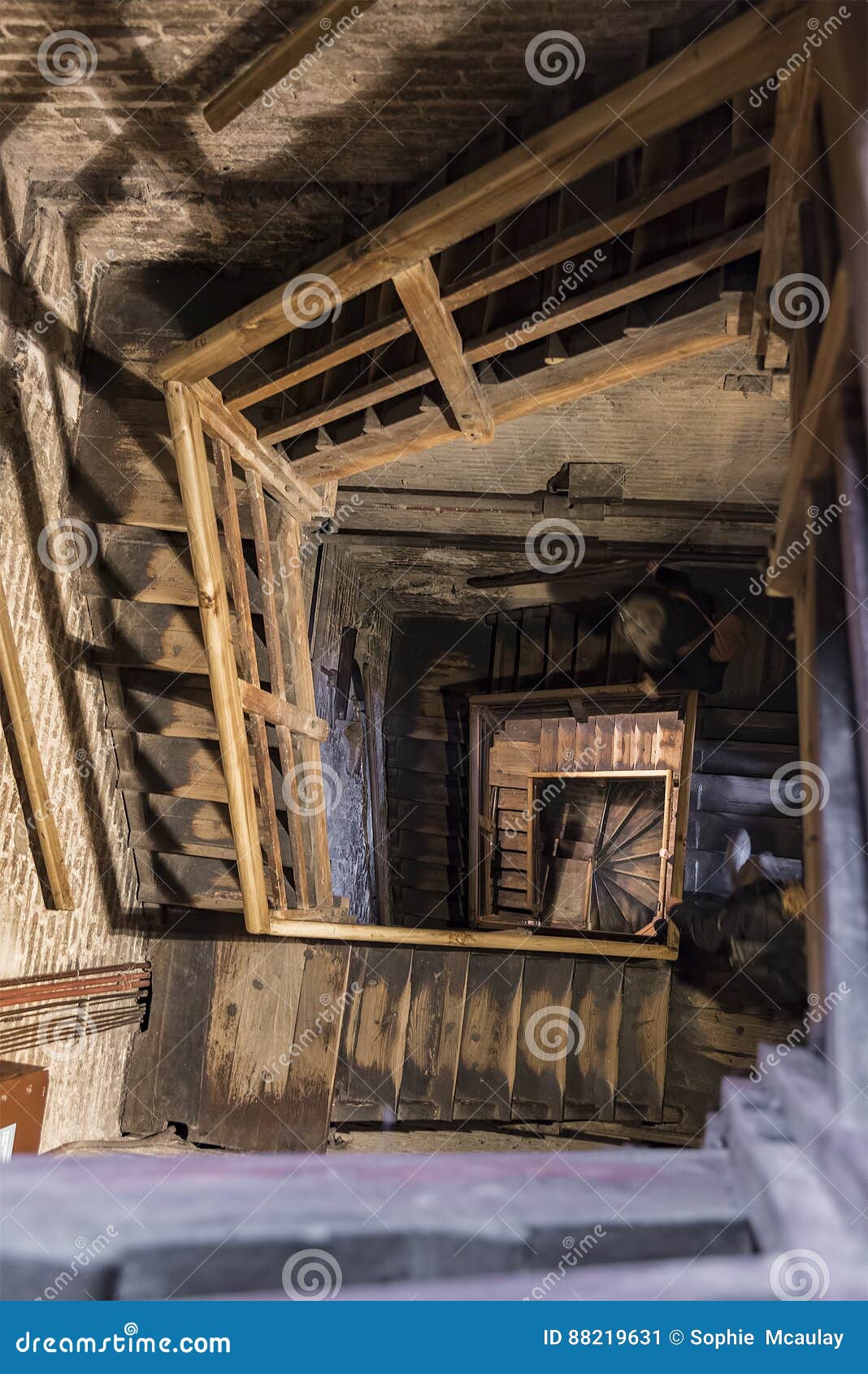 Asinelli Tower Steps Bologna Stock Image - Image of monument, italia ...