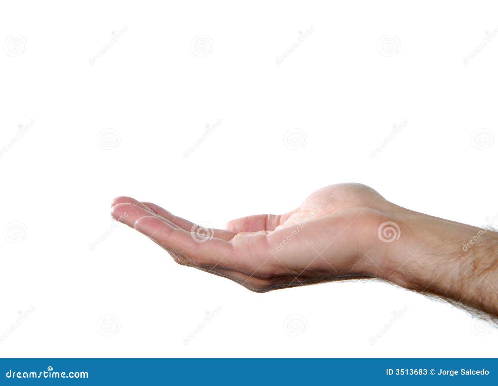 Asking Hand on White Bakground Stock Image - Image of element, ideas ...
