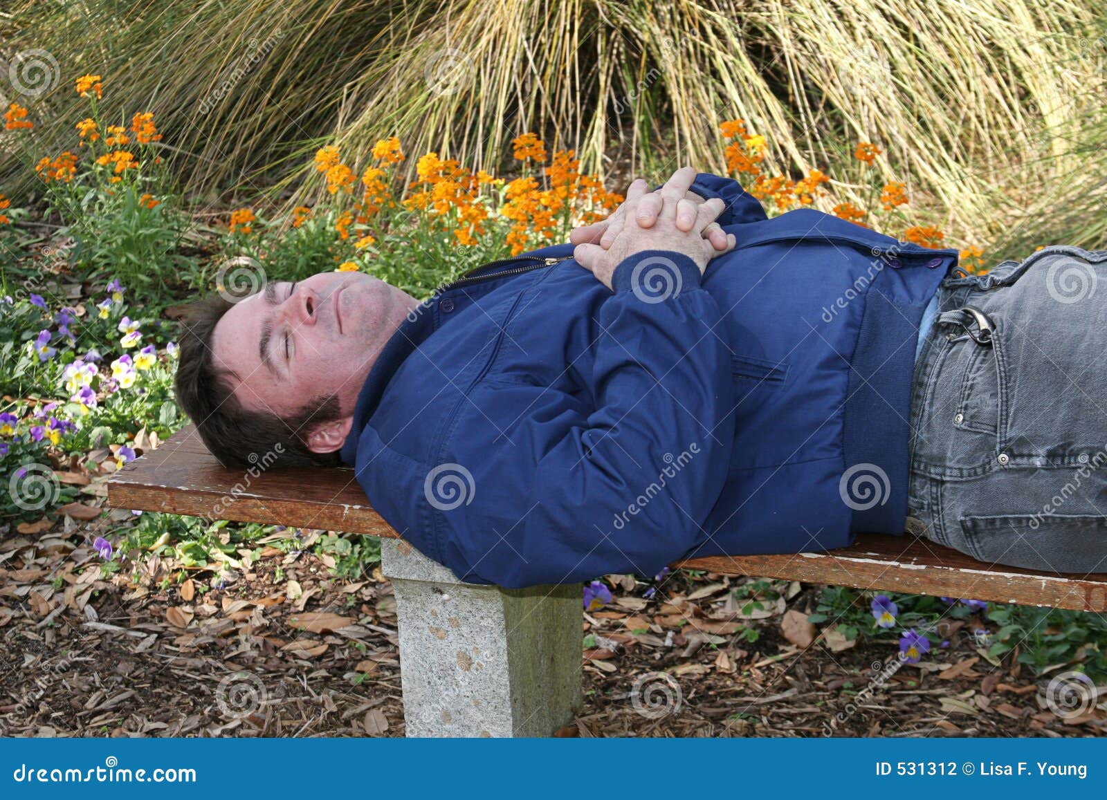 Asleep in the Garden stock photo. Image of exhaustion, calm - 531312