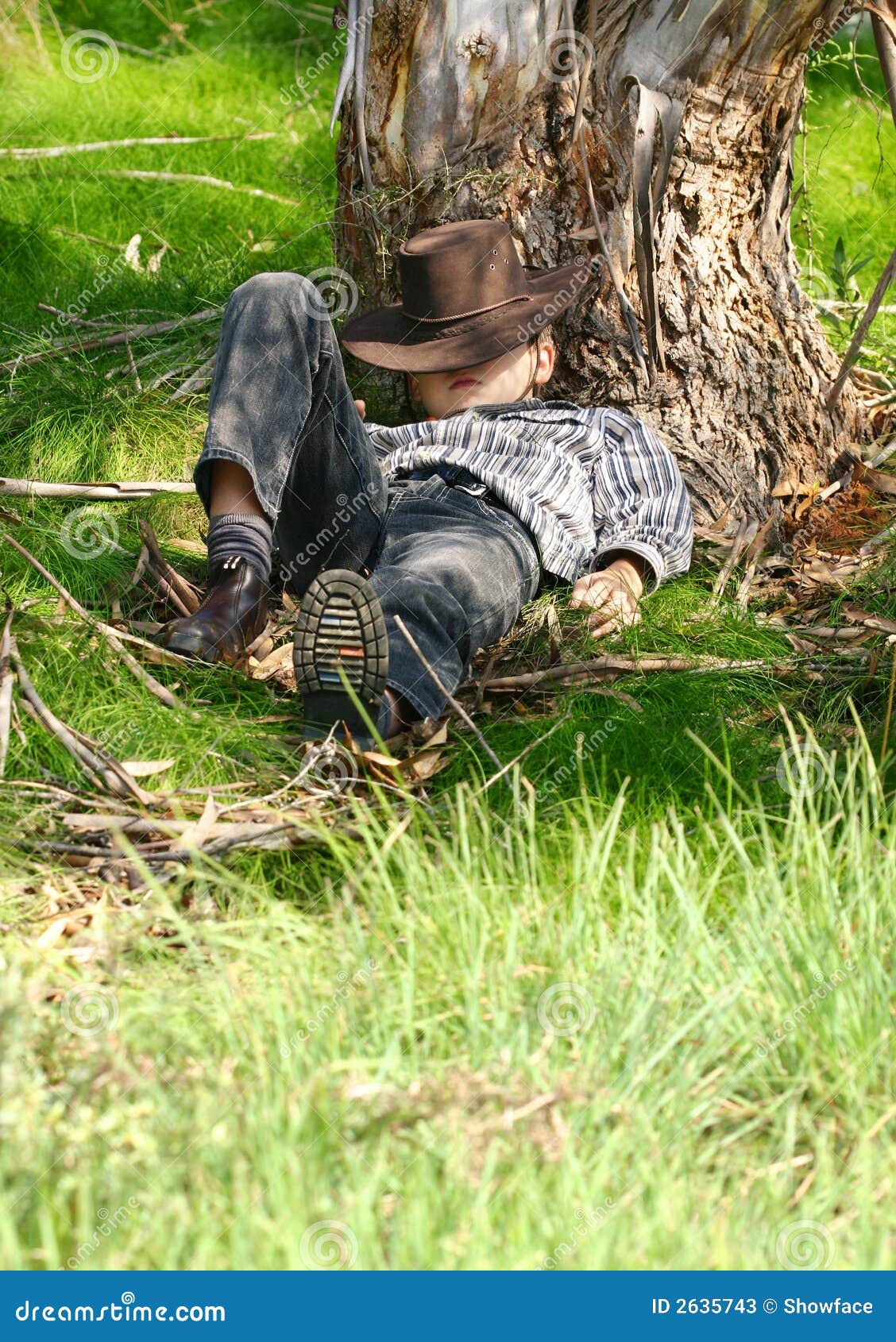 Asleep under a gum tree stock image. Image of childhood - 2635743