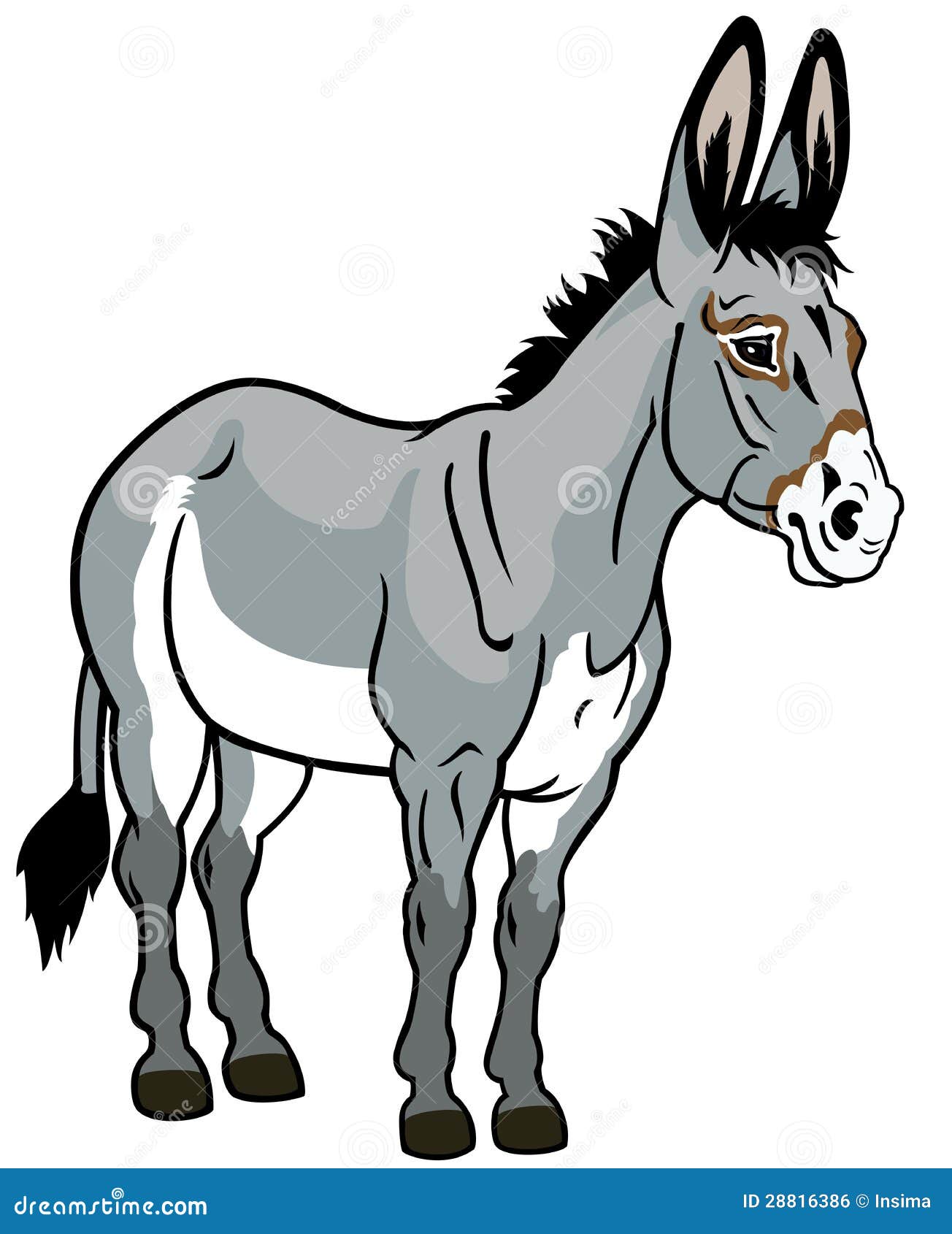 Asno no branco ilustração do vetor. Ilustração de mula - 28816386