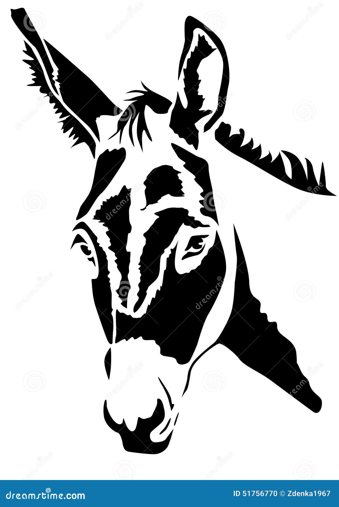 Asno principal - Asinus ilustração stock. Ilustração de orelha - 51756770