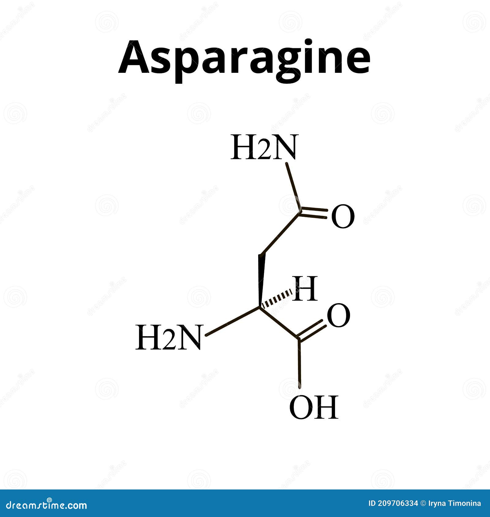 Asparagine is an Amino Acid. Chemical Molecular Formula Asparagine is ... Asparagine is an Amino Acid. Chemical Molecular Formula Asparagine is ...