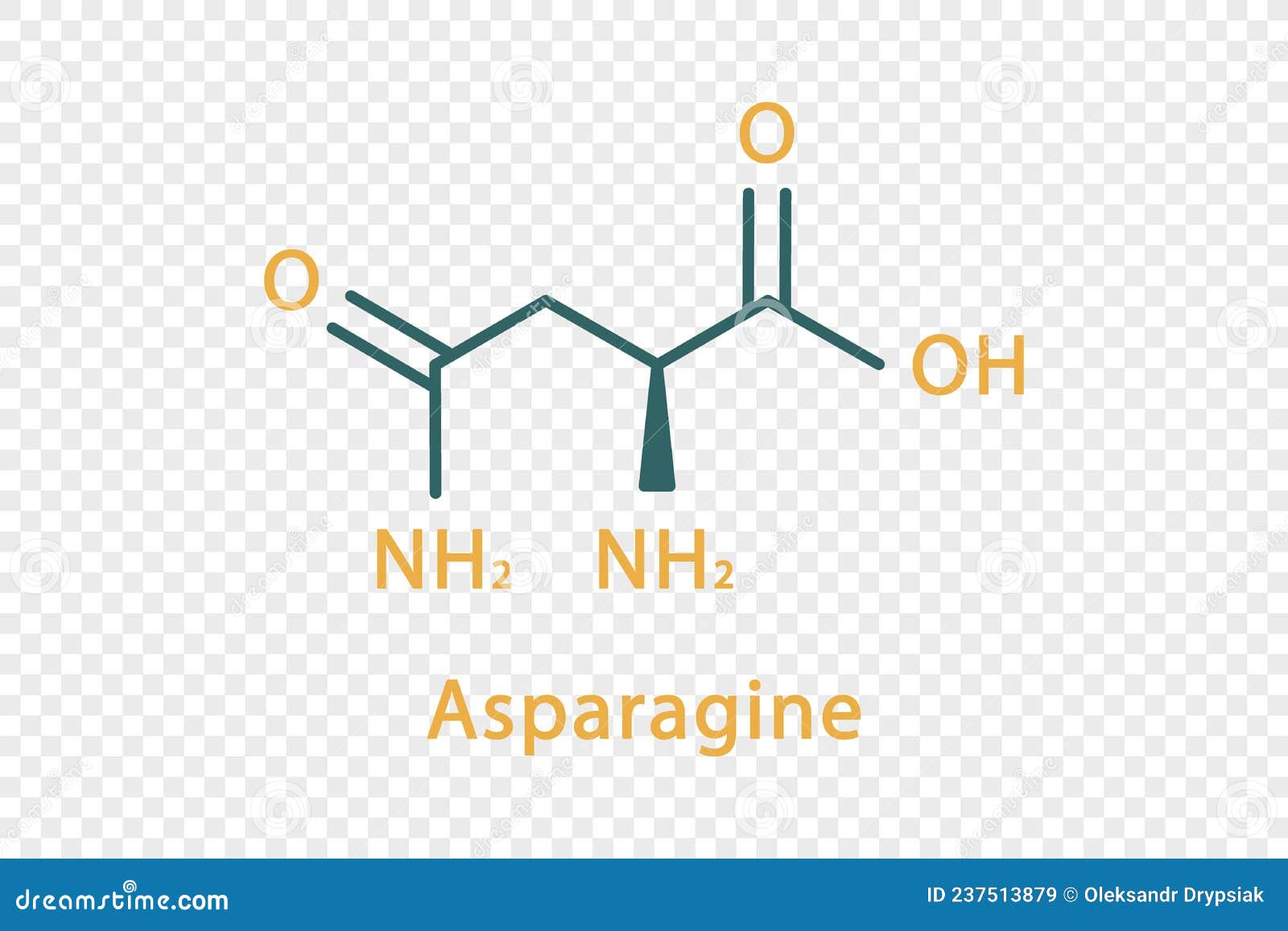 Asparagine Chemical Formula. Asparagine Structural Chemical Formula ...