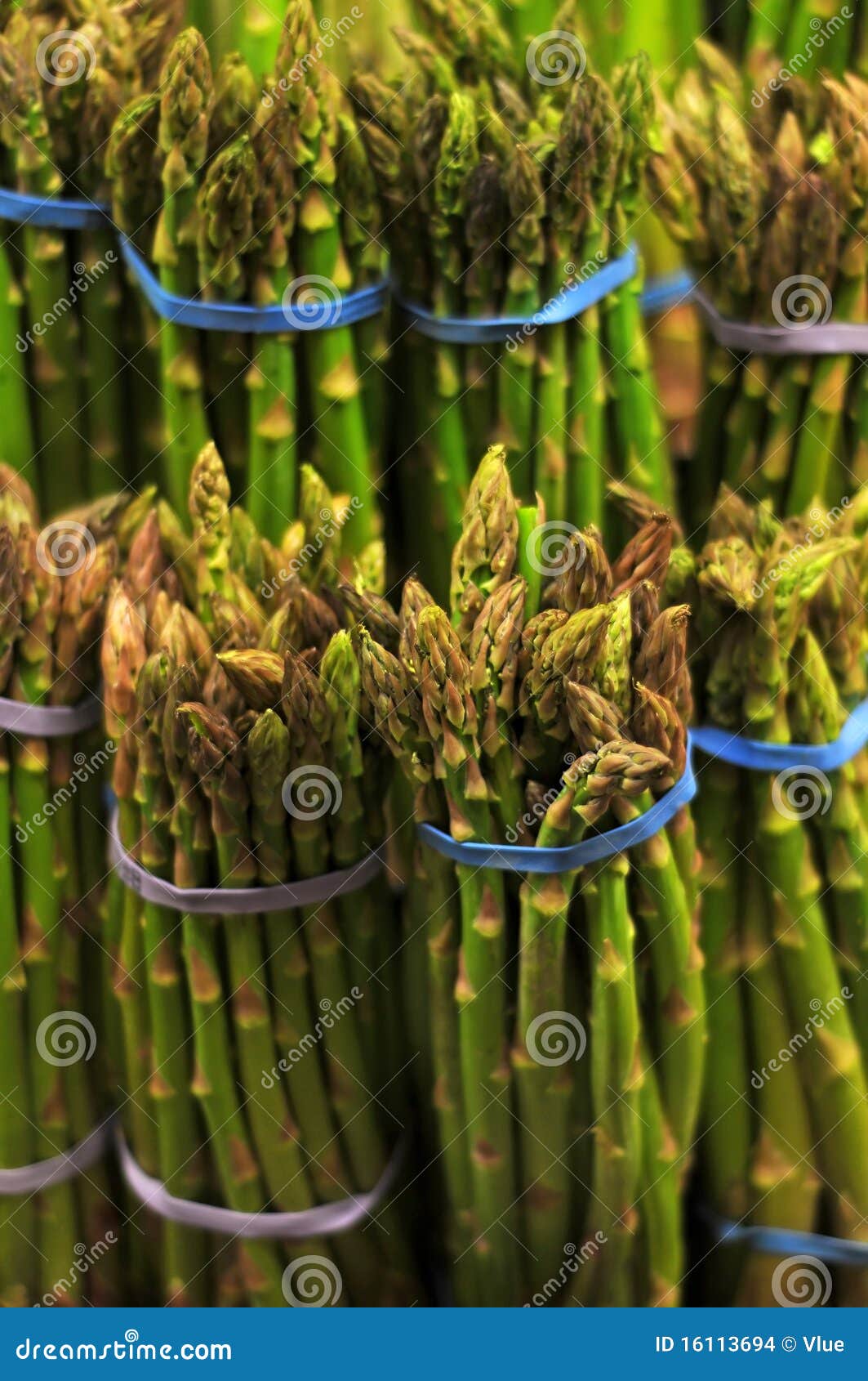 Asparagus Bundles stock photo. Image of nature, bunch - 16113694