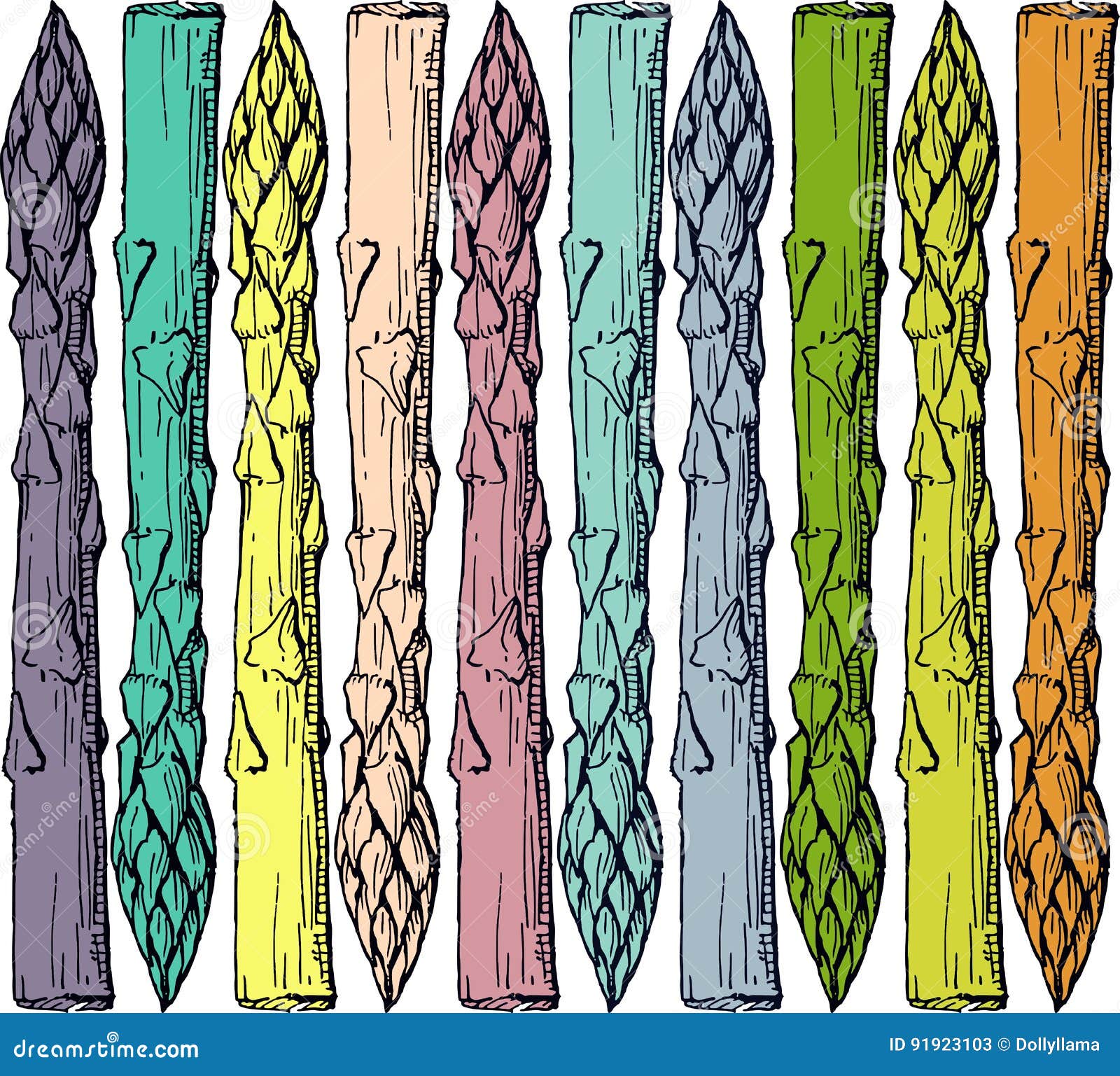 Asparagus Farm stock image. Illustration of asparagus - 91923103