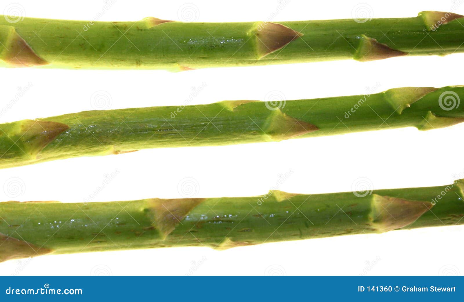 Asparagus Stalks stock photo. Image of salad, white, grilled - 141360