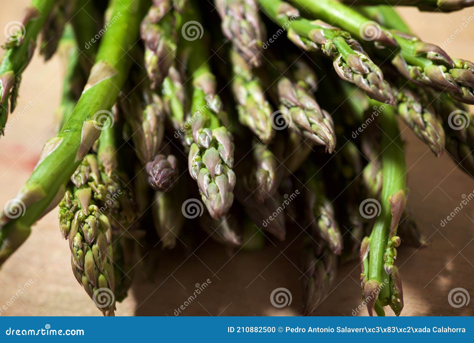 Asparagus on a table stock photo. Image of harvest, asparagus - 210882500