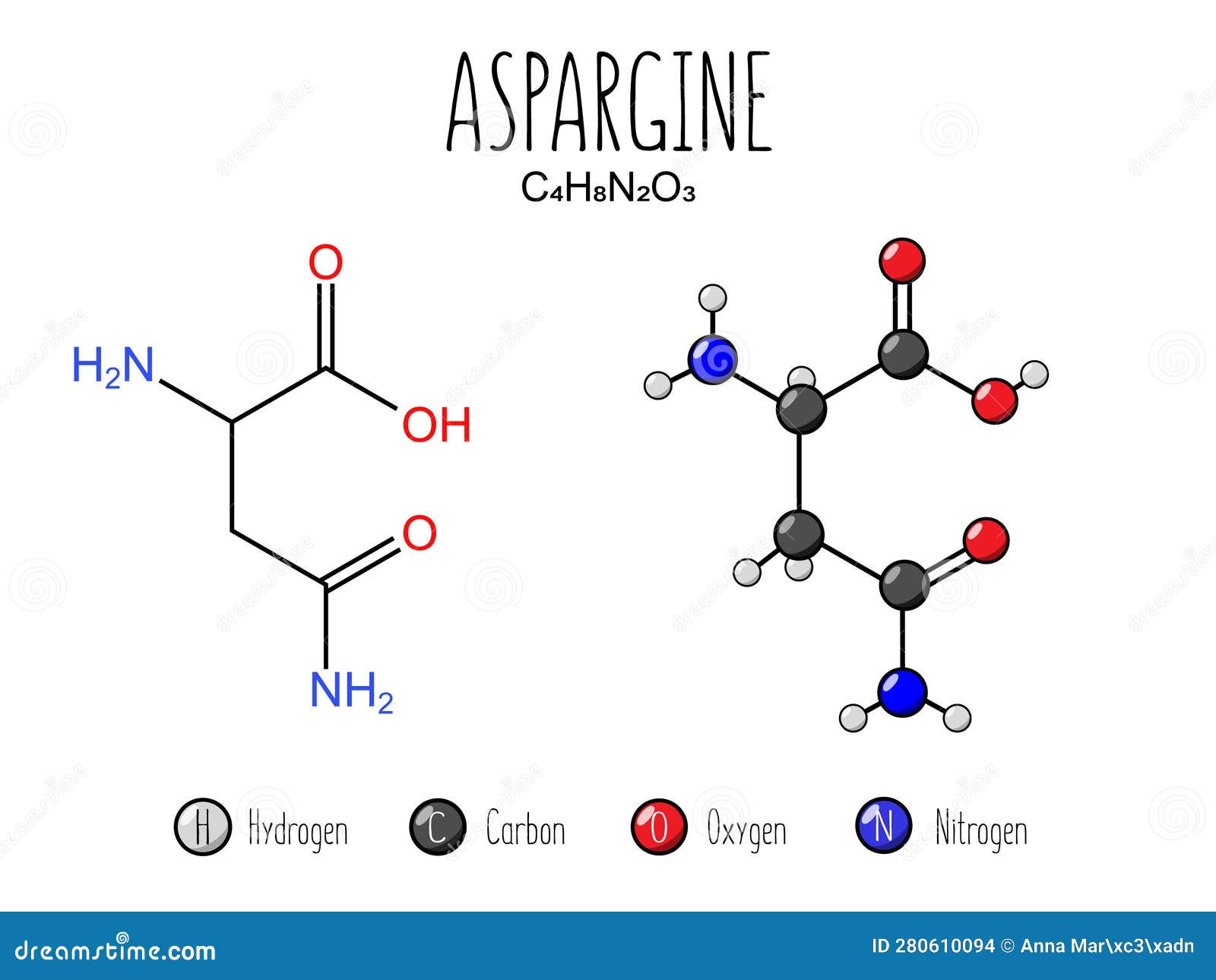 Aspargine Amino Acid Representation. Stock Vector - Illustration of ...