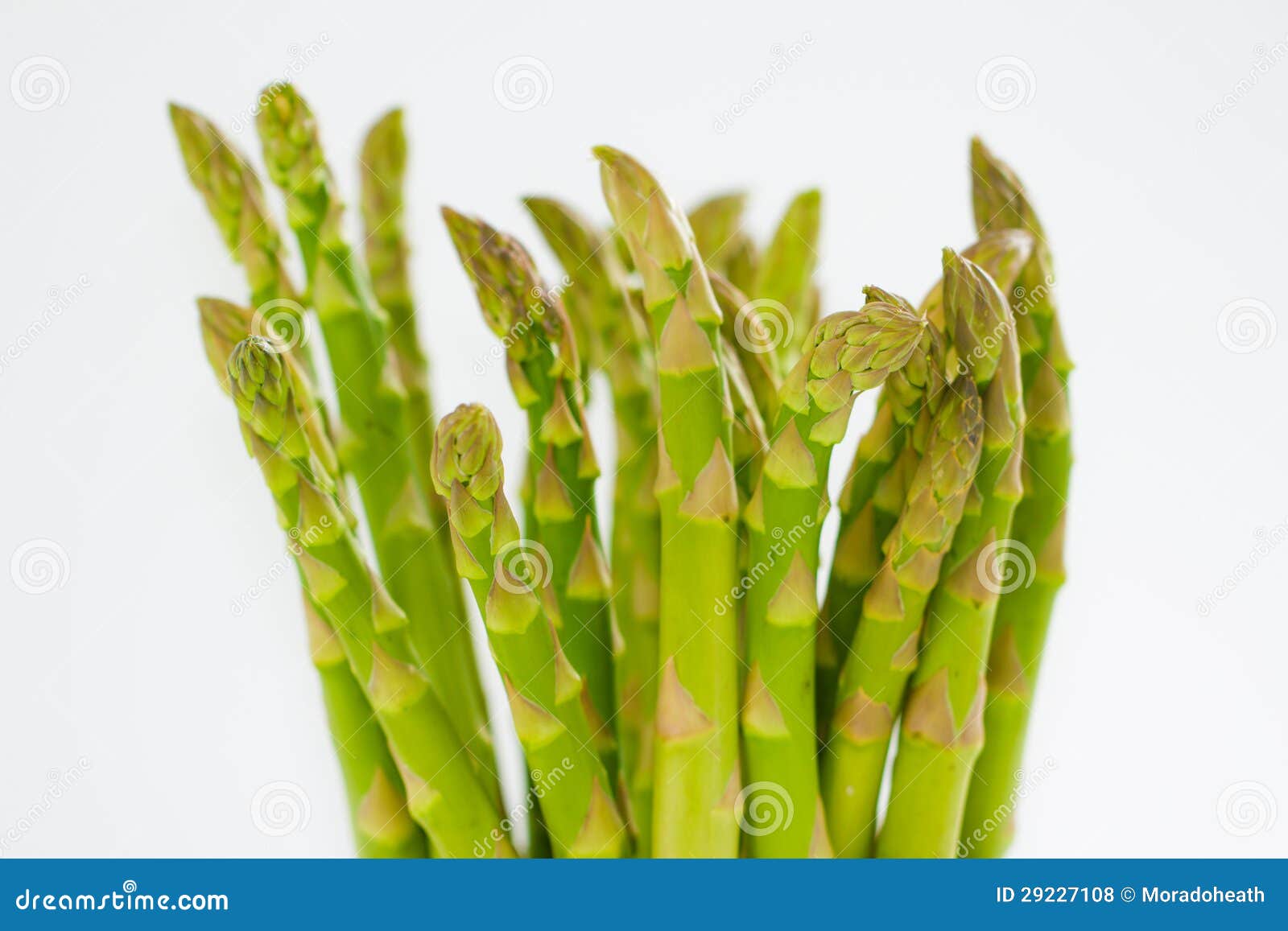 Aspargus stock photo. Image of draining, asparagus, gastronomy - 29227108