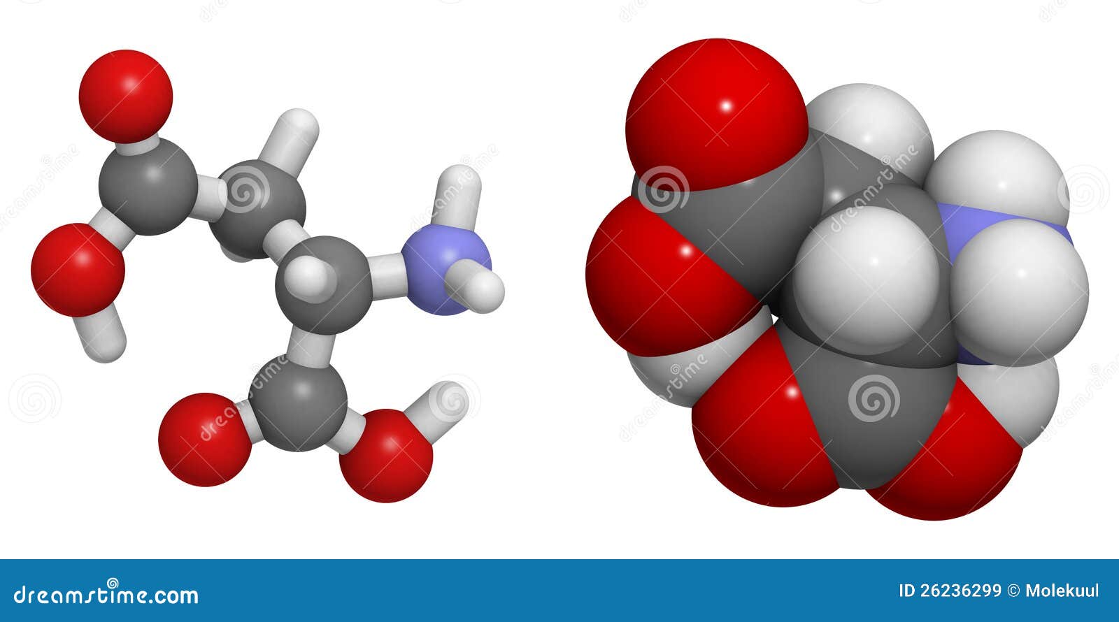 Aspartic Acid L-aspartic Acid, Asp, D Amino Acid Molecule. Skeletal ... Aspartic Acid L-aspartic Acid, Asp, D Amino Acid Molecule. Skeletal ...
