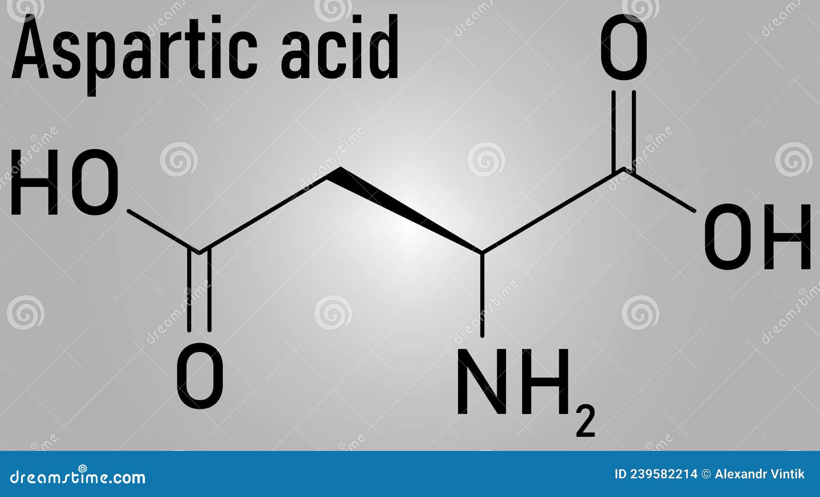 Aspartic Acid Or L-aspartic Acid, Asp, D, Amino Acid Molecule. Skeletal ... Aspartic Acid Or L-aspartic Acid, Asp, D, Amino Acid Molecule. Skeletal ...