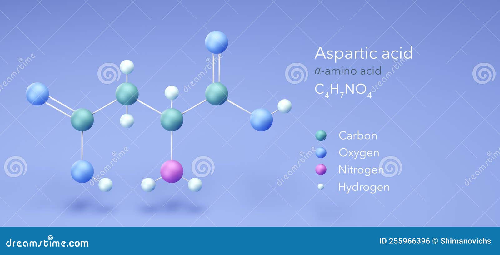 Aspartic Acid, Molecular Structures, Amino Acid, 3d Model, Structural ... Aspartic Acid, Molecular Structures, Amino Acid, 3d Model, Structural ...