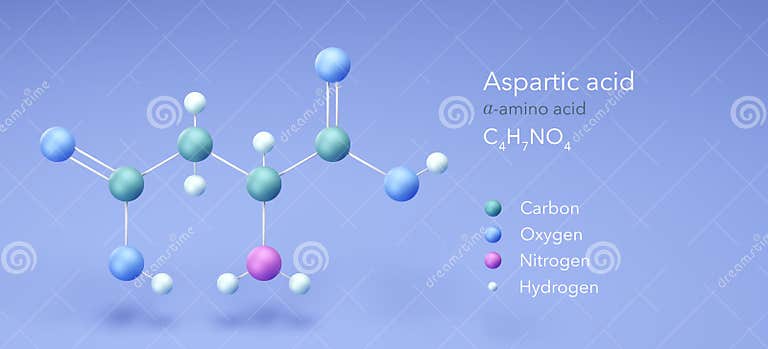 Aspartic Acid, Molecular Structures, Amino Acid, 3d Model, Structural ...