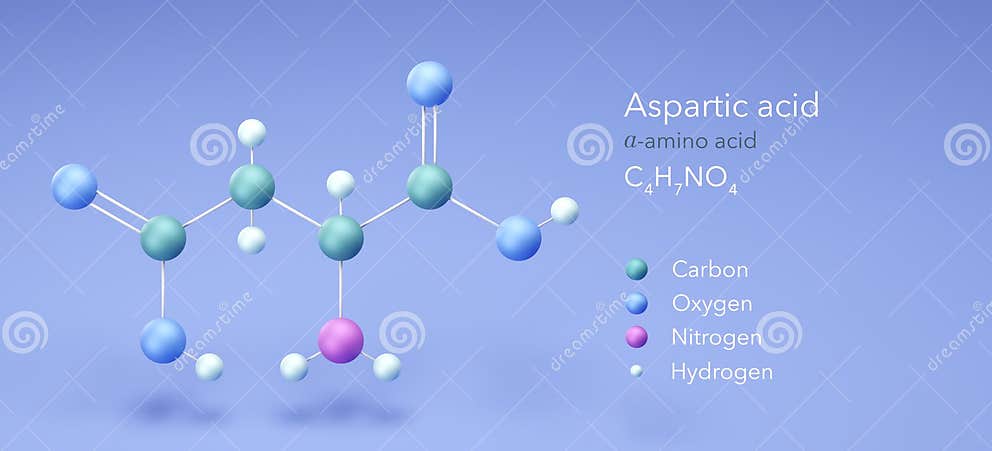 Aspartic Acid, Molecular Structures, Amino Acid, 3d Model, Structural ...