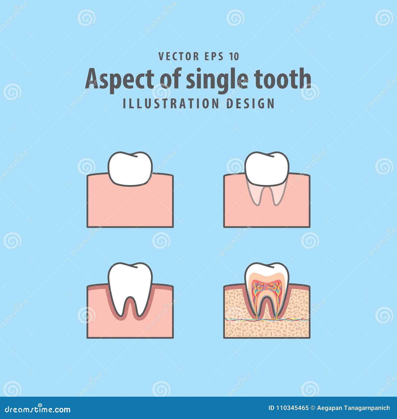 Aspect of Single Tooth Illustration Vector on Blue Background. D Stock ...