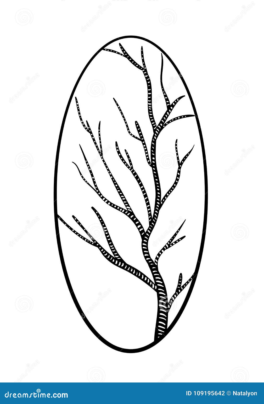 Aspen Or Birch Dead Tree Branch In A Frame, Black And White Vector ...