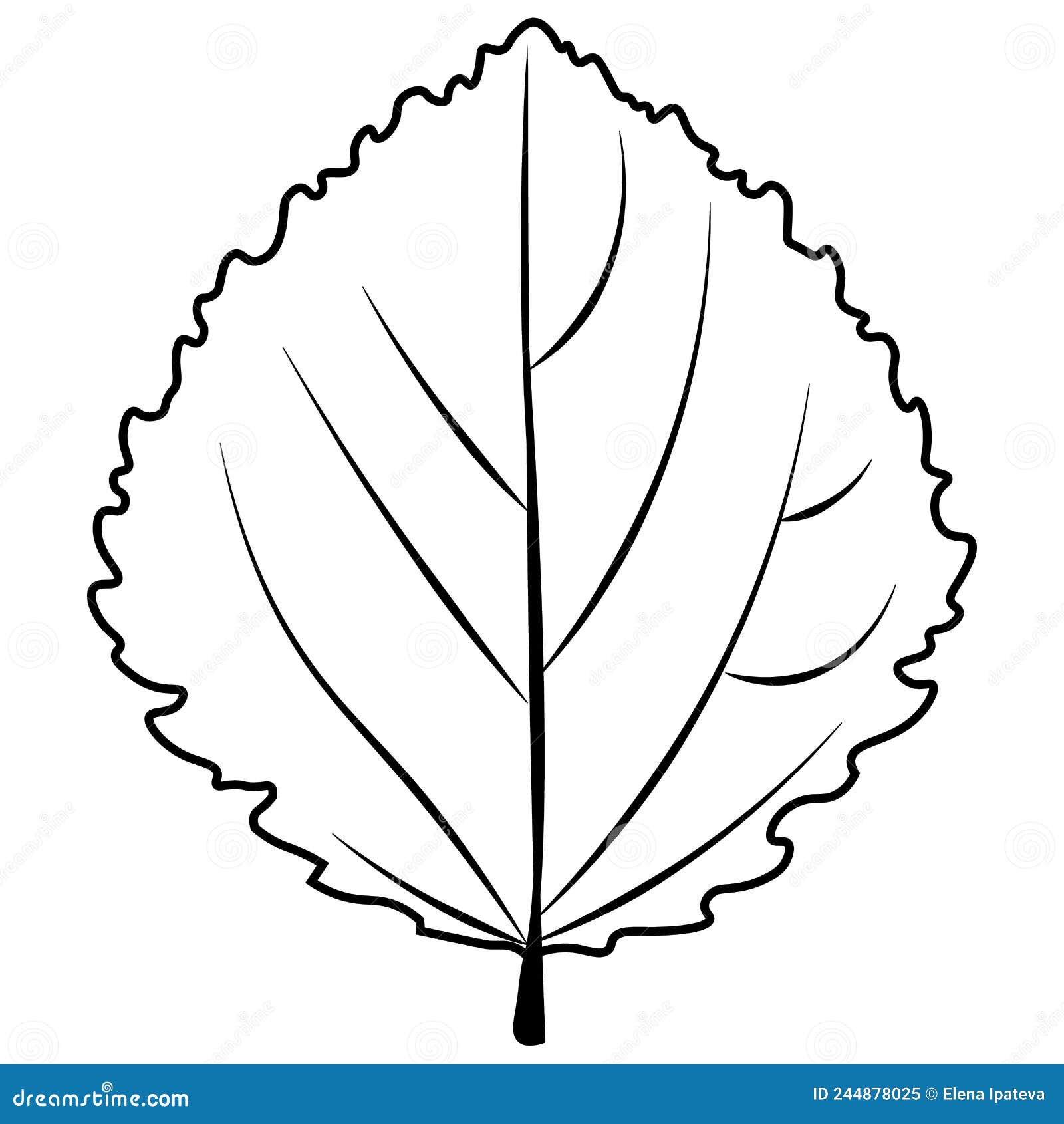 Aspen Leaf Vector Black and White Stock Vector - Illustration of ...