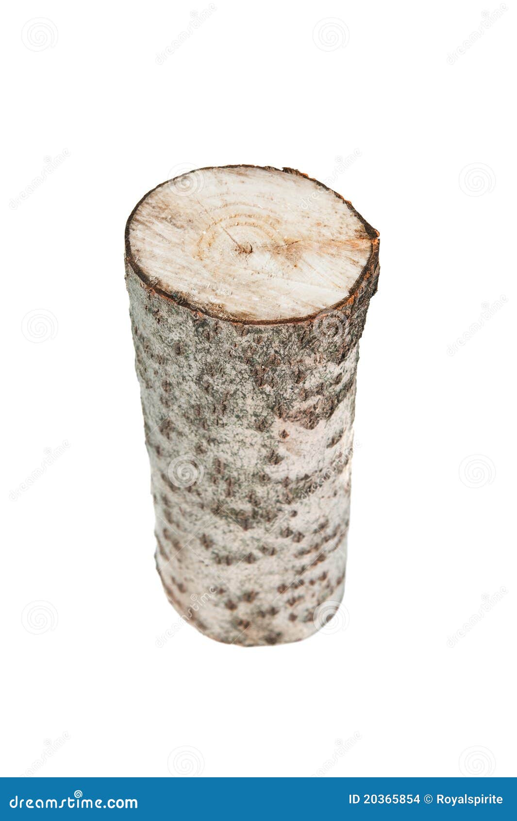 Aspen log stock photo. Image of firewood, object, tree - 20365854