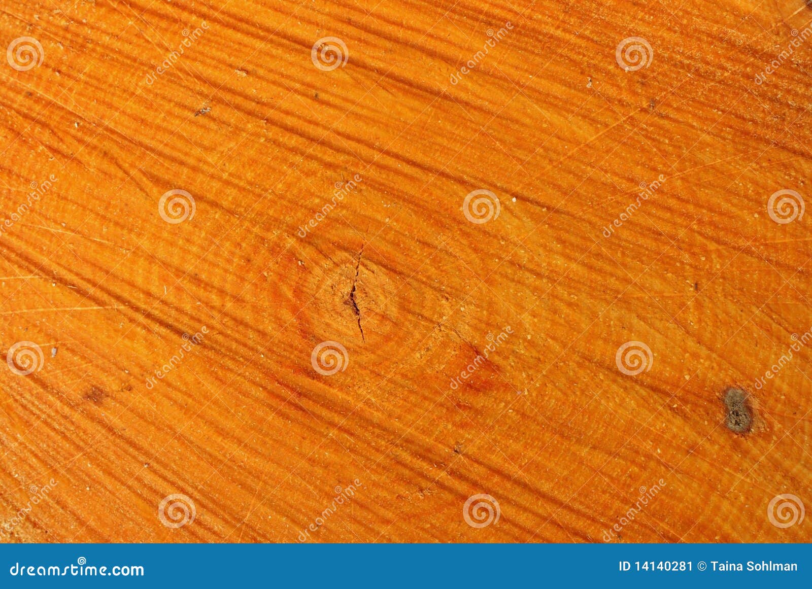 Aspen Log Growth Rings Background Stock Image - Image of forestry ...