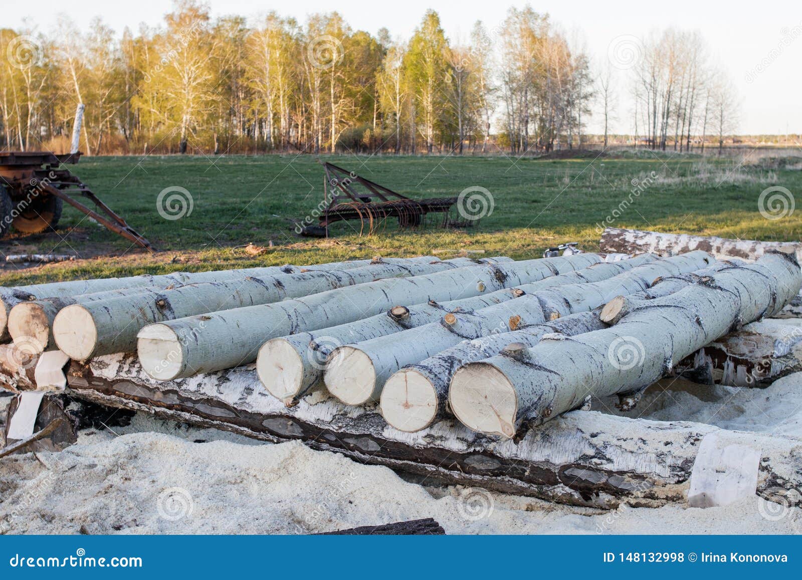 Aspen Logs Lying In A Row On A Small Sawmill In The Countryside. In The ...